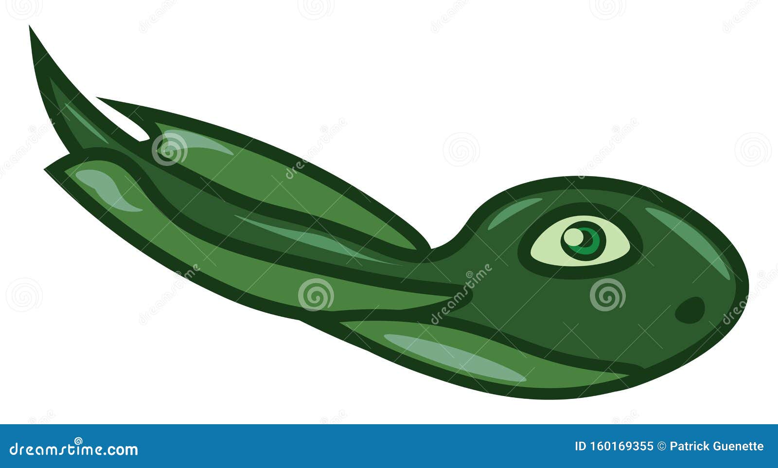 A Young Tadpole, Vector or Color Illustration Stock Illustration ...