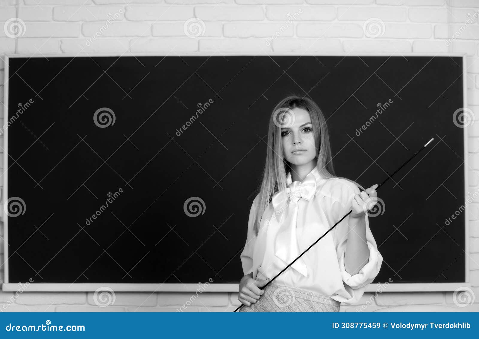 Young Teacher with Pointer. High School Student Learning English or ...