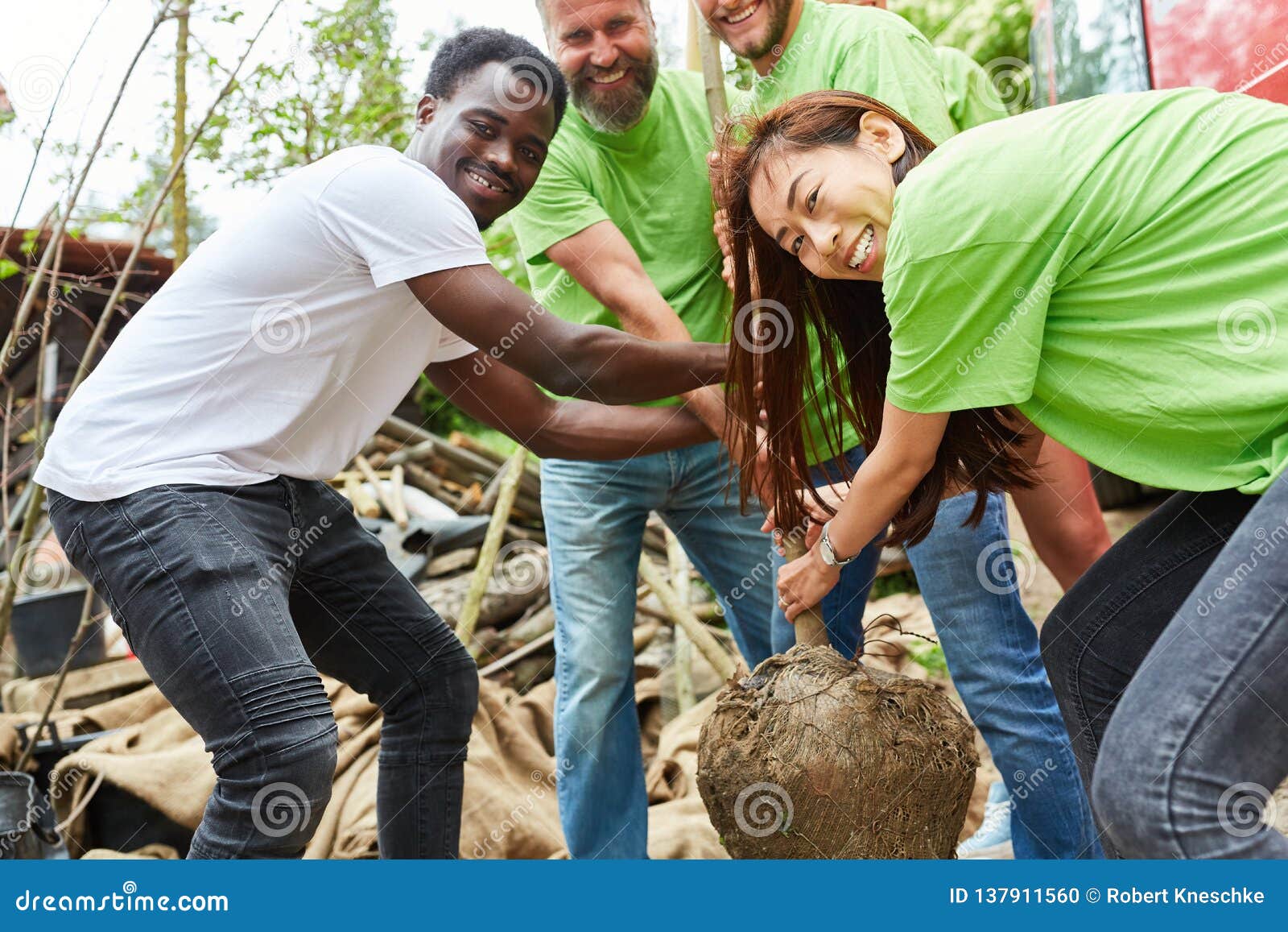 Young Team Volunteer Plants a Tree Stock Photo - Image of people ...