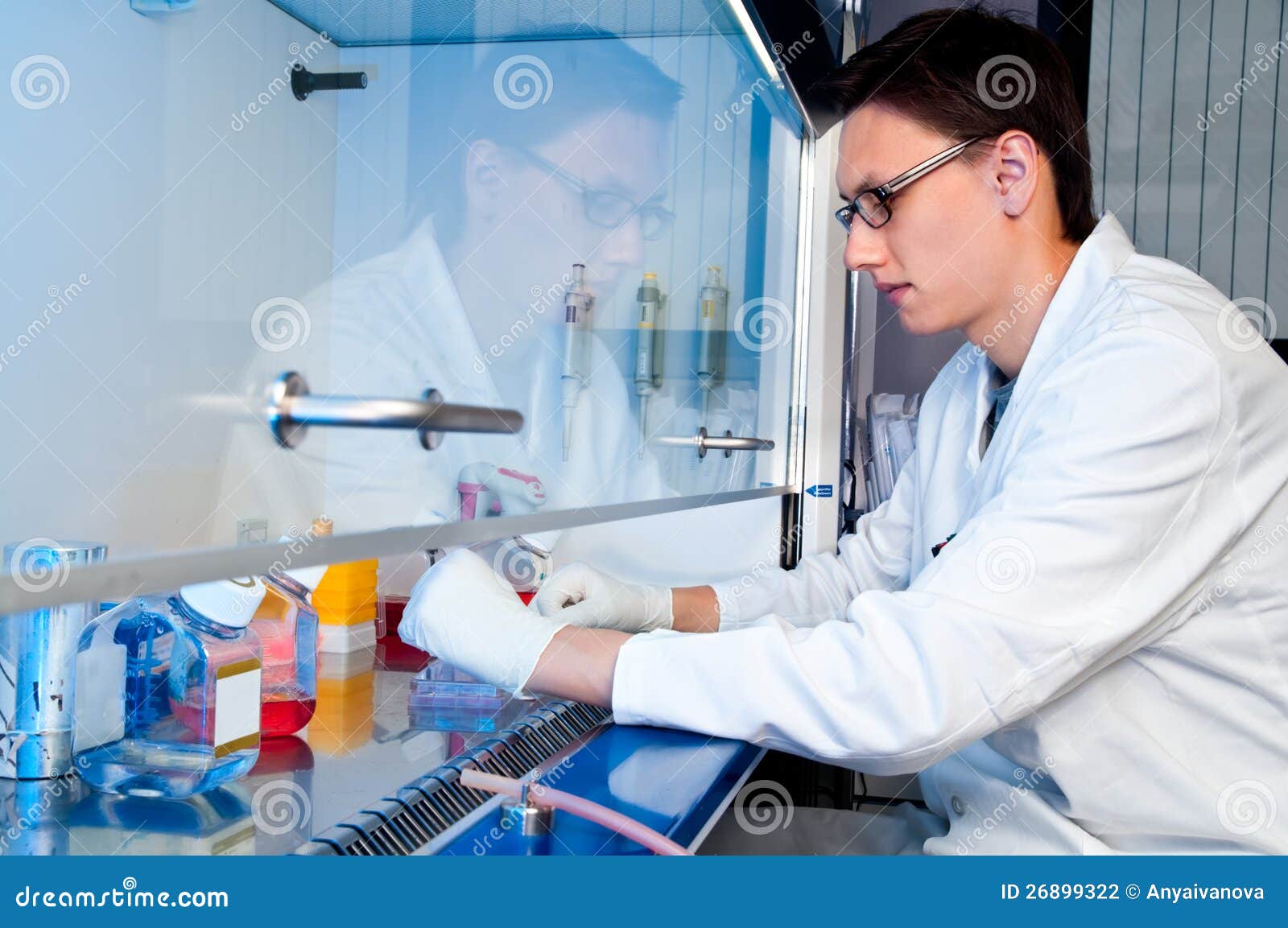 Young Tech Works with Cell Culture Stock Photo - Image of blue, culture ...