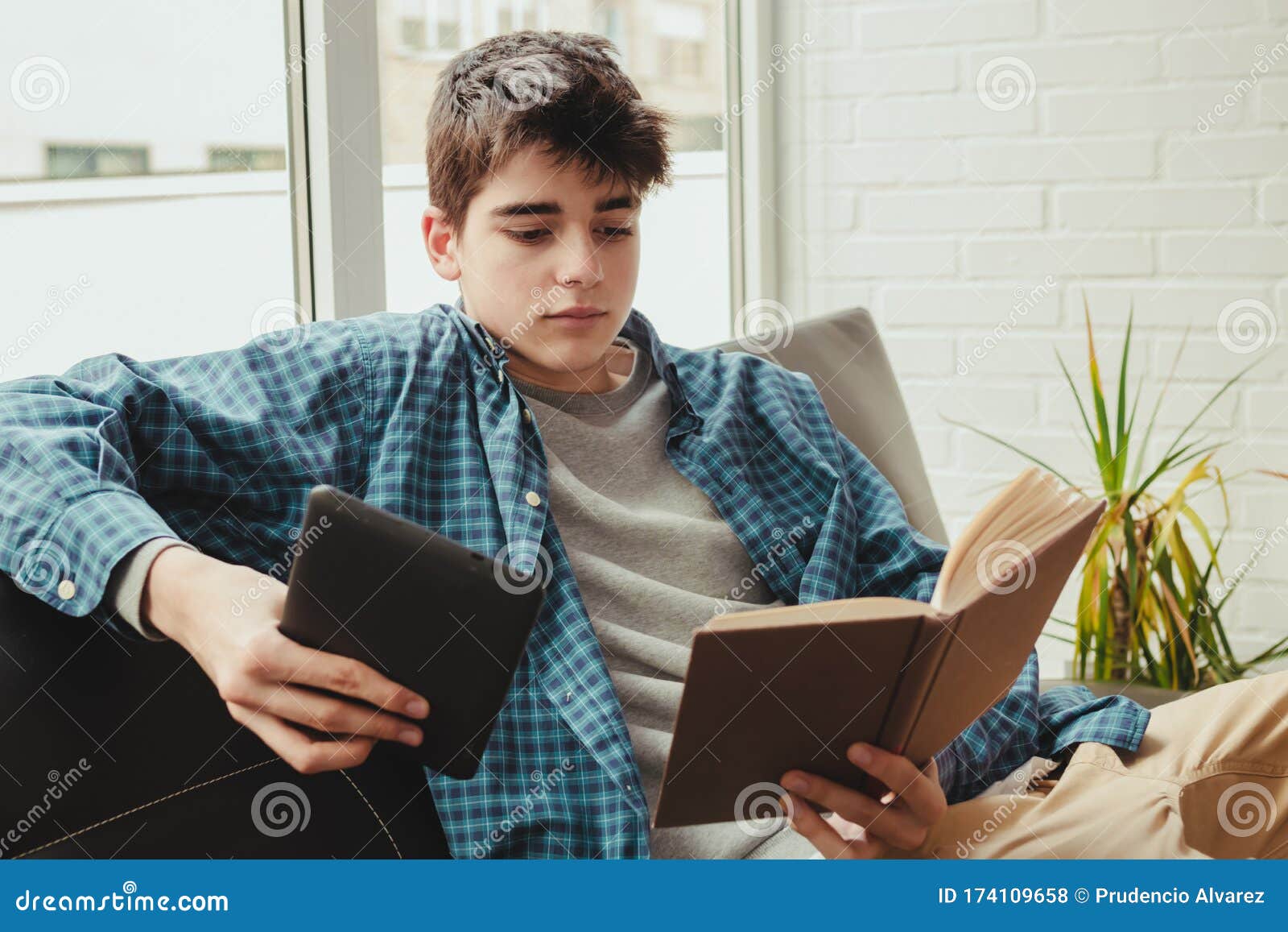 Young Teenage Boy Reading or Studying Stock Photo - Image of model ...