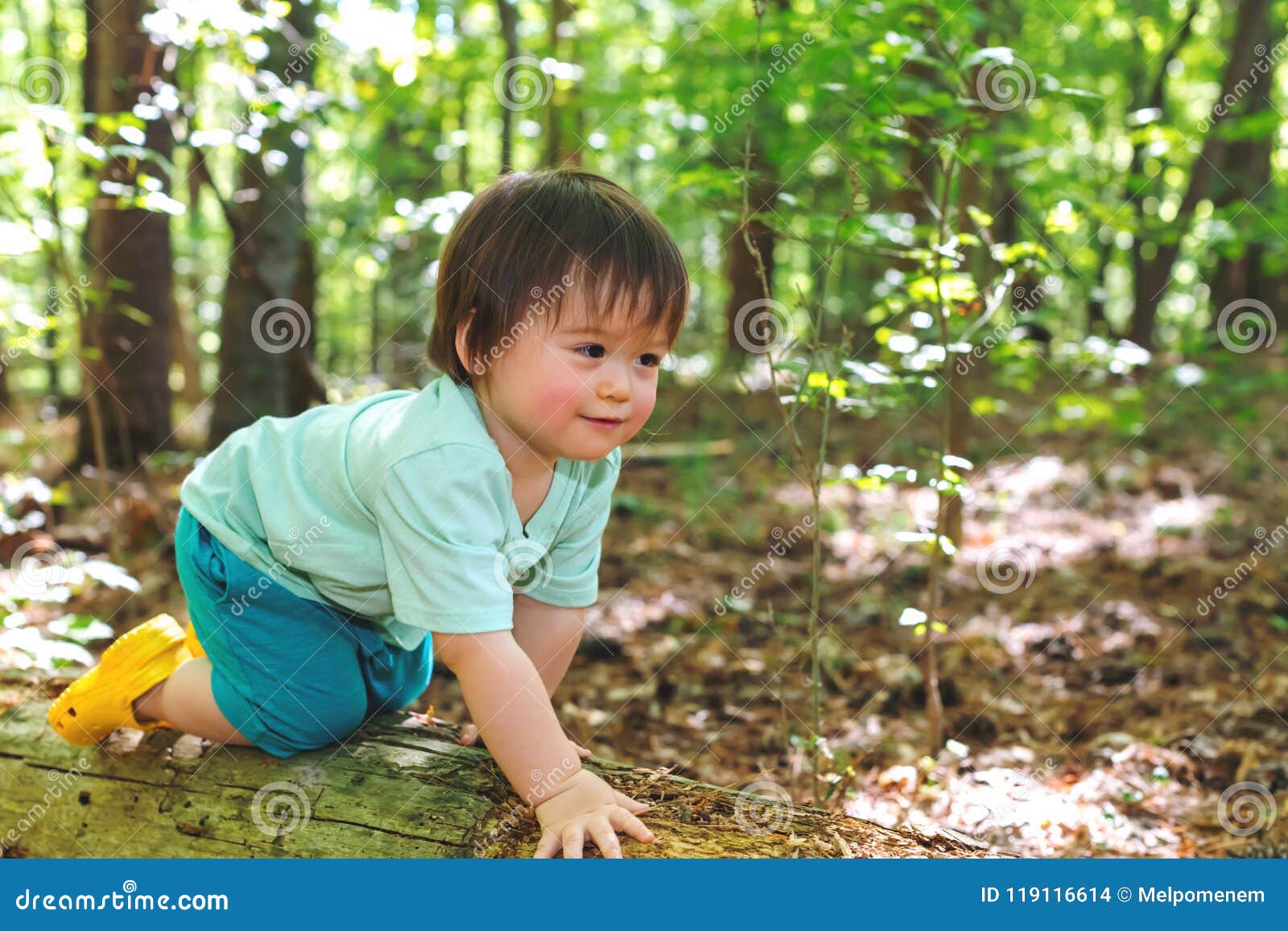 Toddler Boy Playing in the Forest Stock Photo - Image of face, forest ...