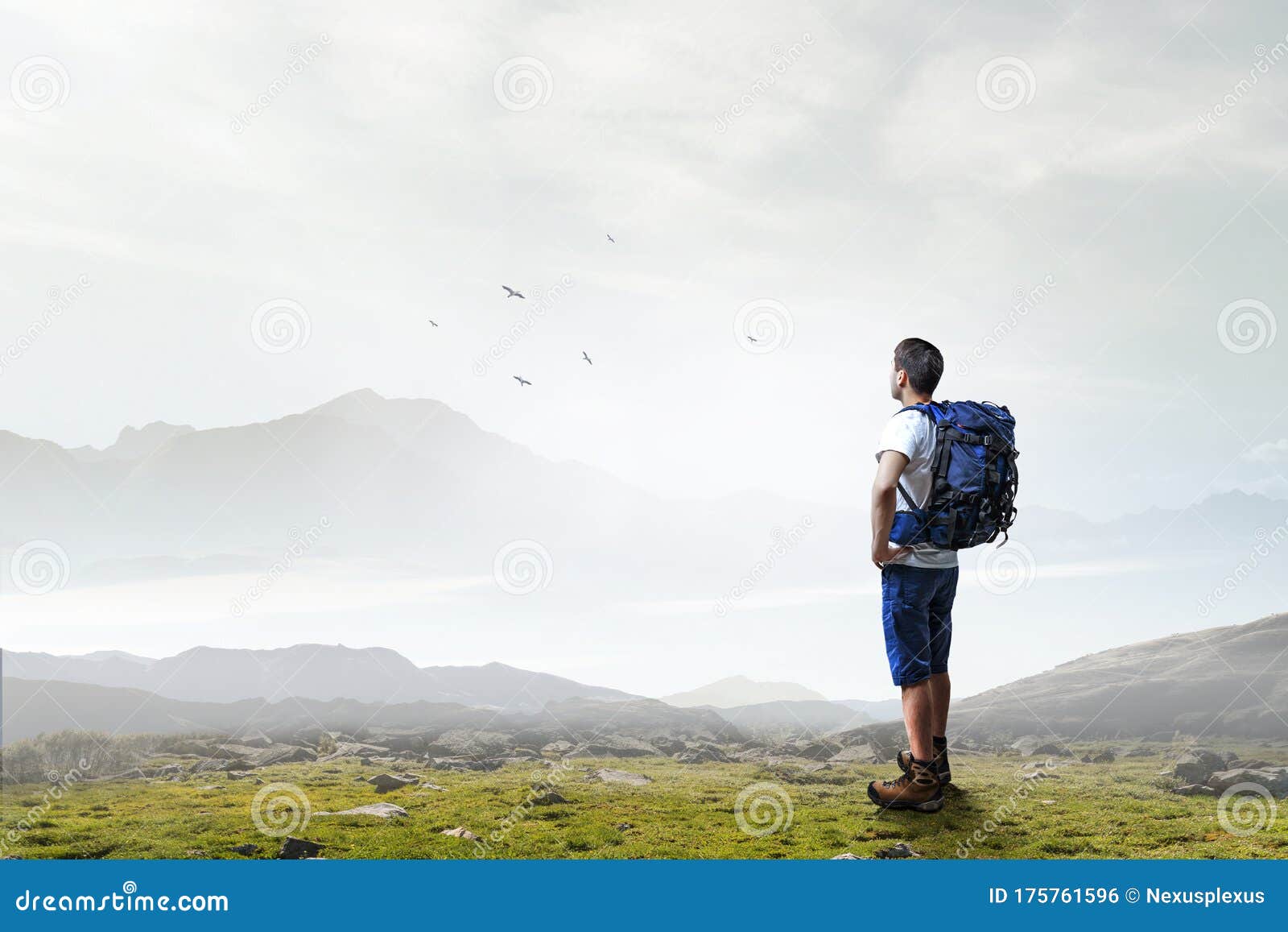 Young Traveler Exploring the World Concept Stock Photo - Image of ...