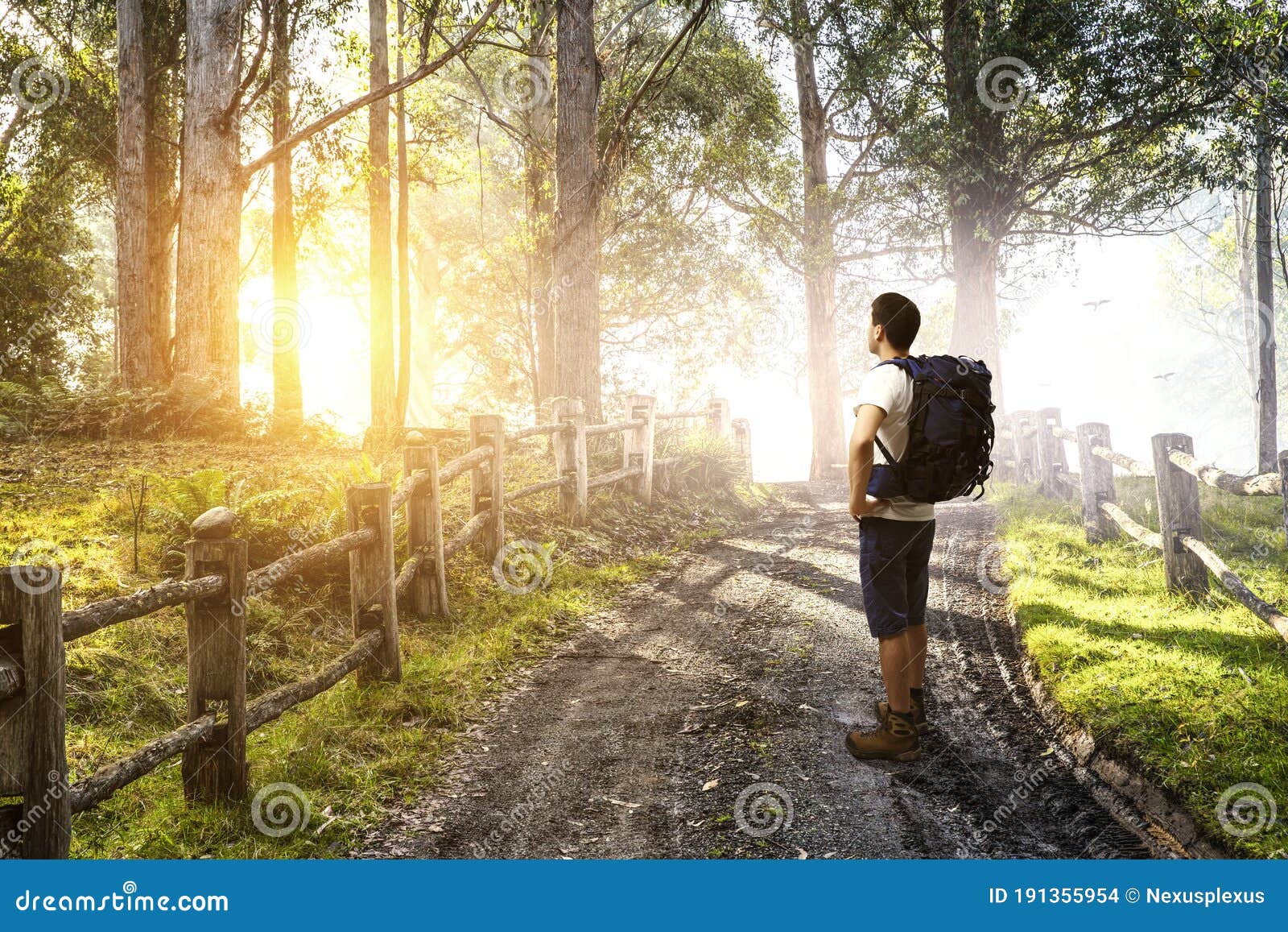 Young Traveler Exploring the World Concept Stock Photo - Image of ...