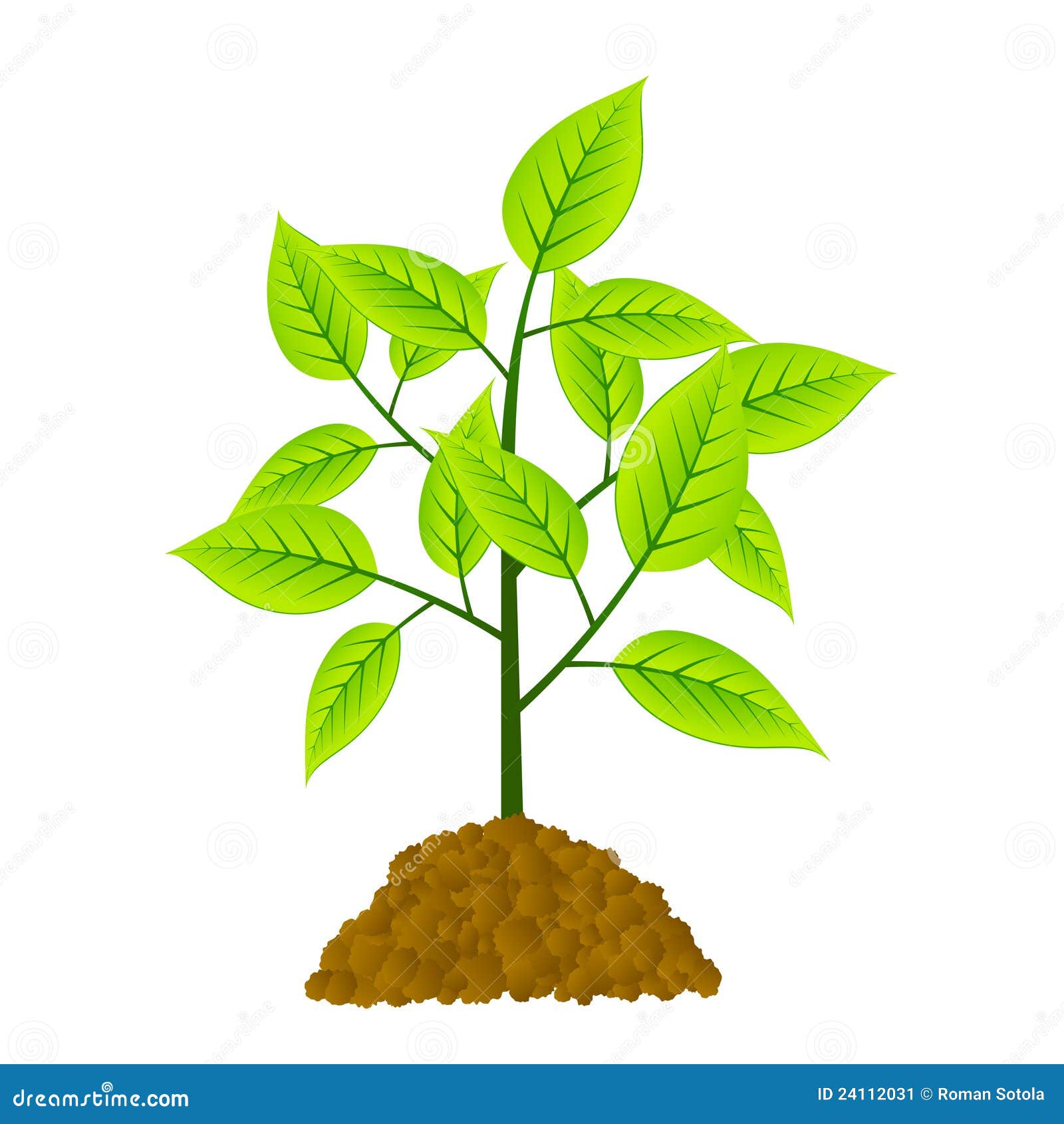 Young tree stock vector. Illustration of herbal, environment - 24112031