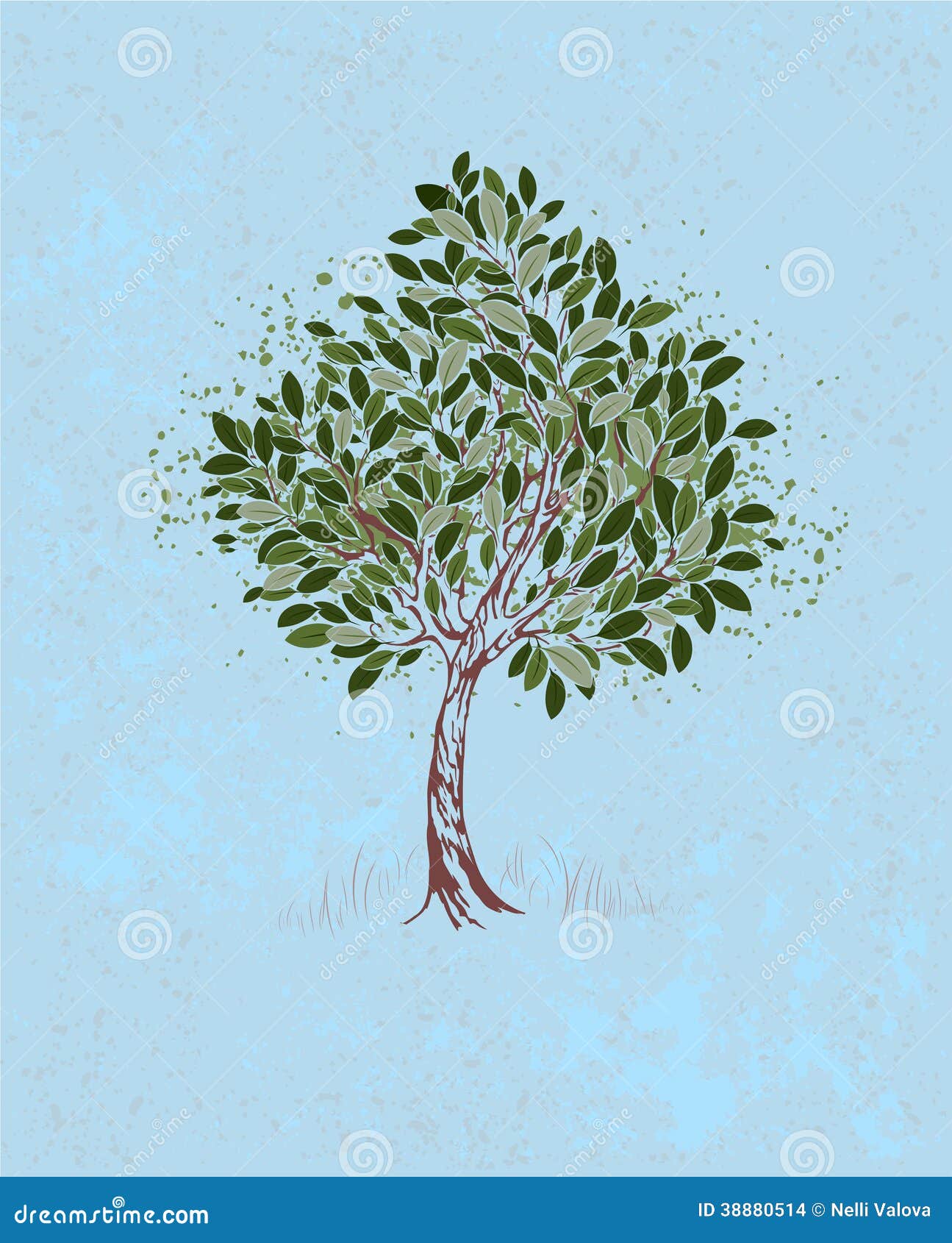 Young Fig Tree Ficus Carica L. In Late Summer With Fruit, Fresco ...