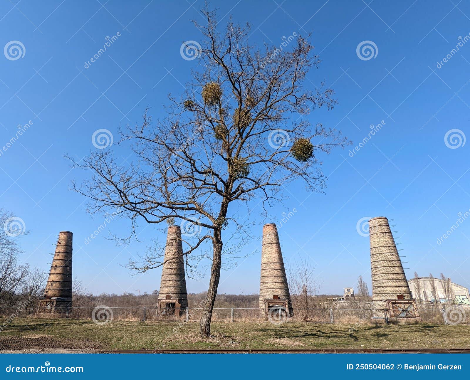 Young Tree and Chimneys of the Old Factory Stock Photo - Image of ...