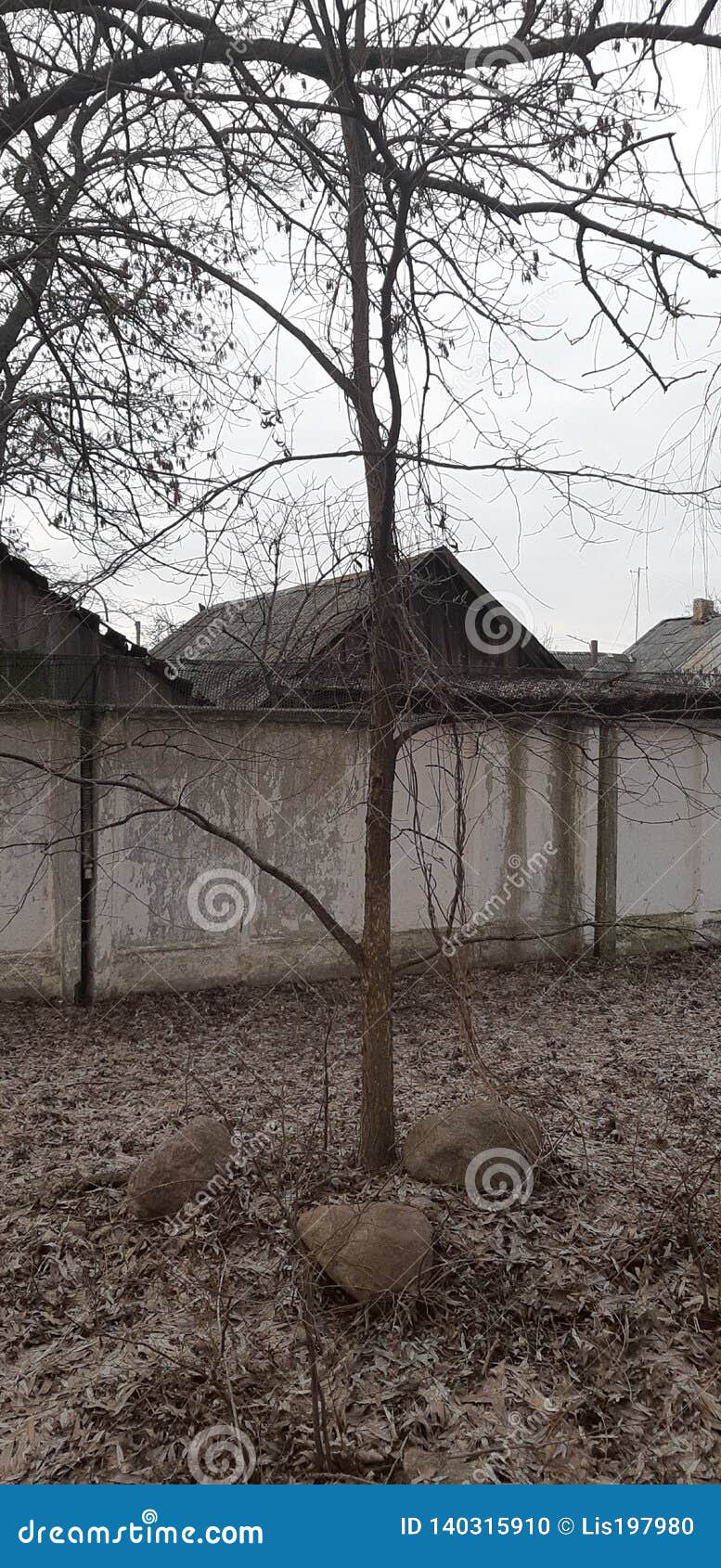 Gray spring landscape stock photo. Image of march, background - 140315910