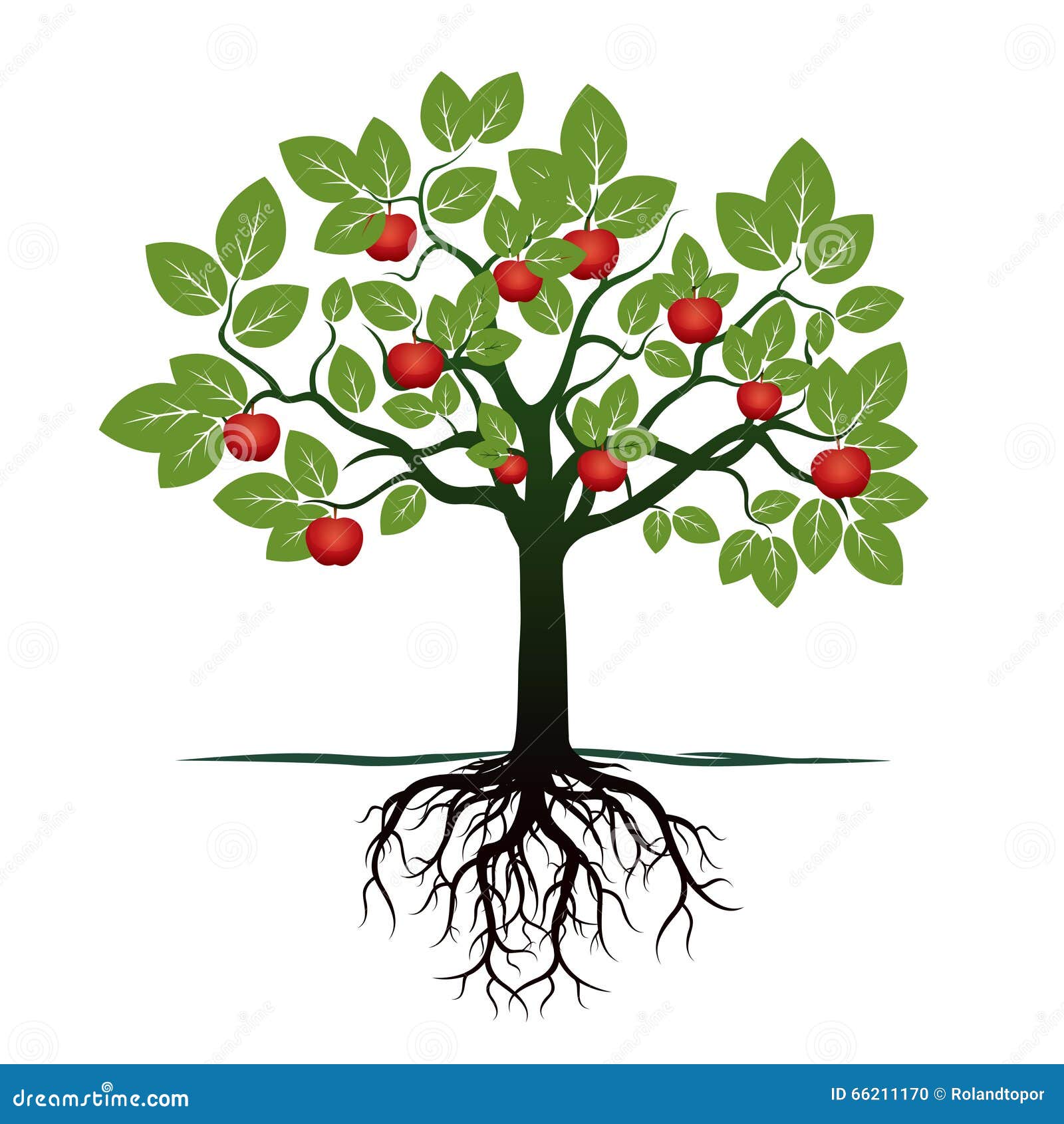 Fruit Tree With Roots Clip Art