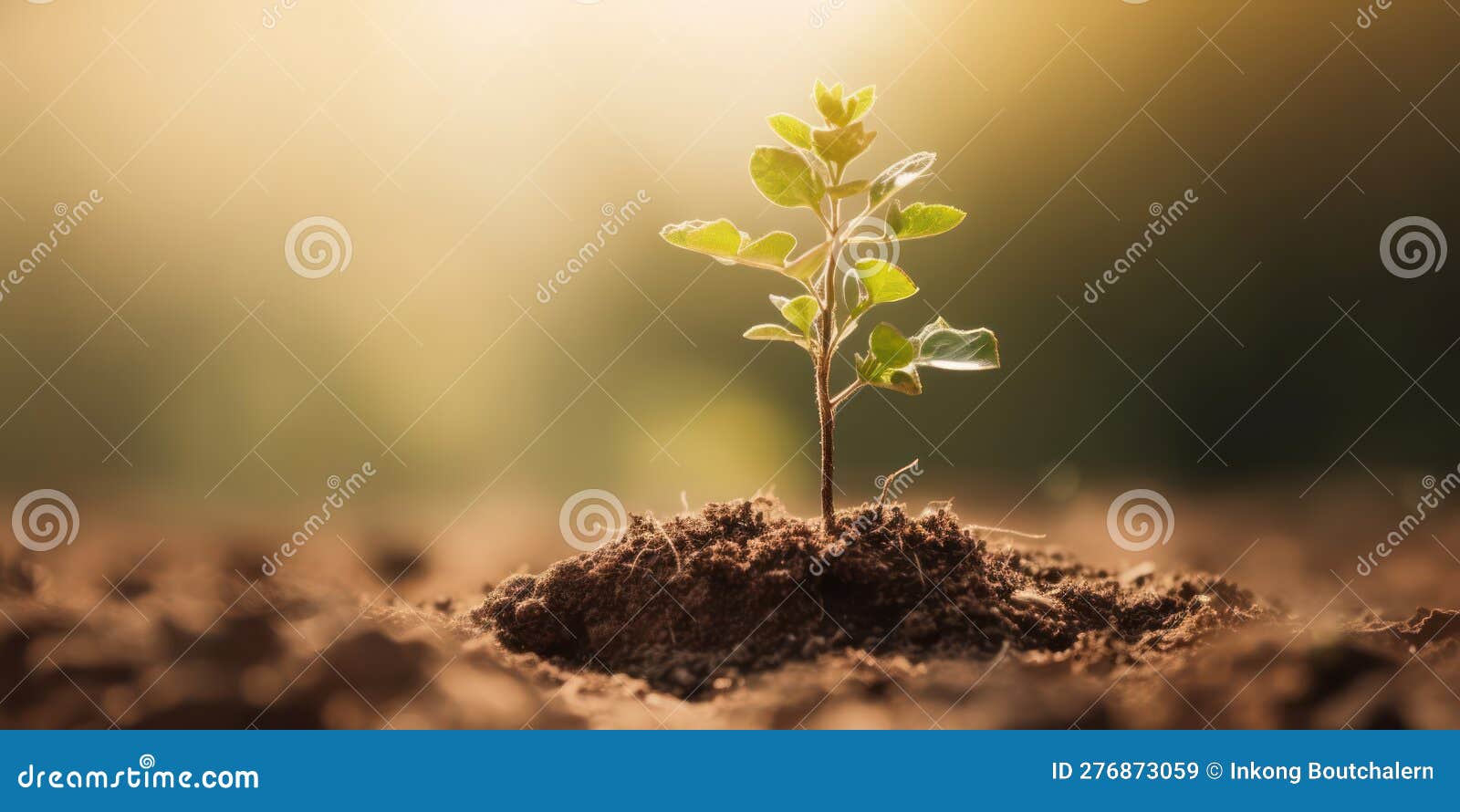 Young Tree Plant Growth Background. World Environment Day and Earth Day ...