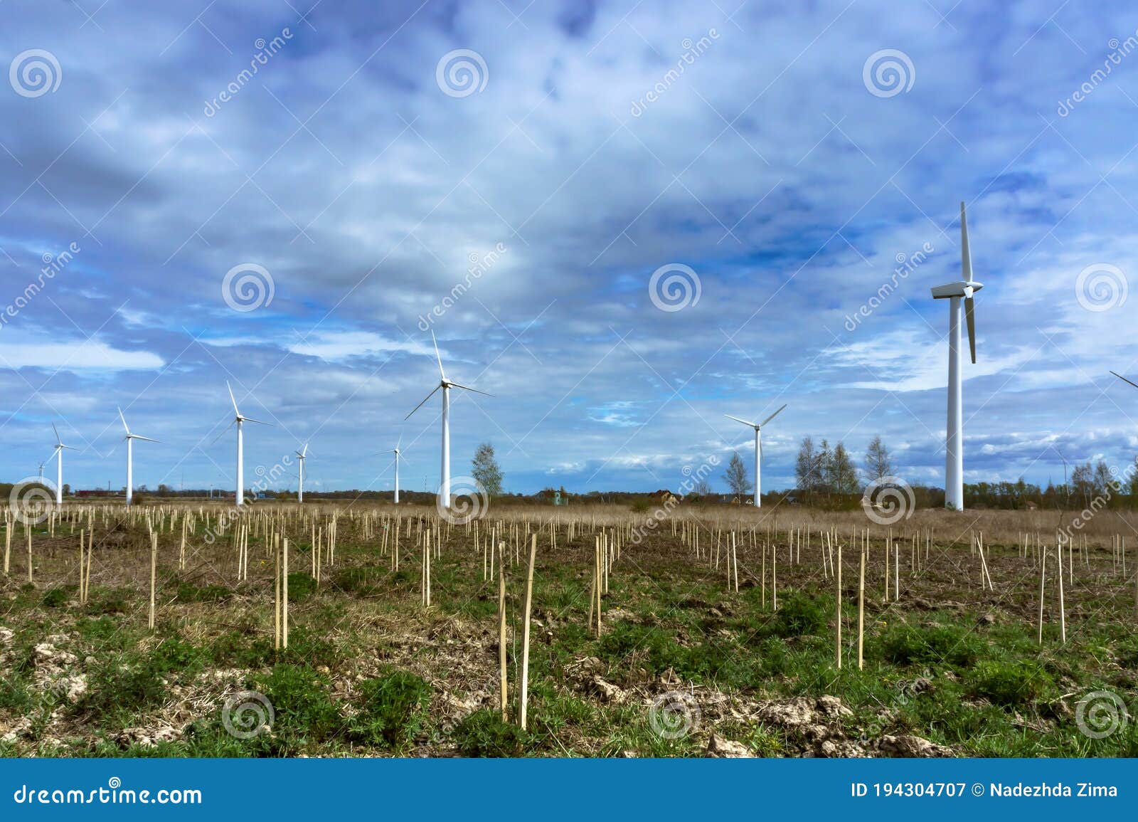 Young Tree Planting, Wind Turbine Units in the Field Stock Image ...