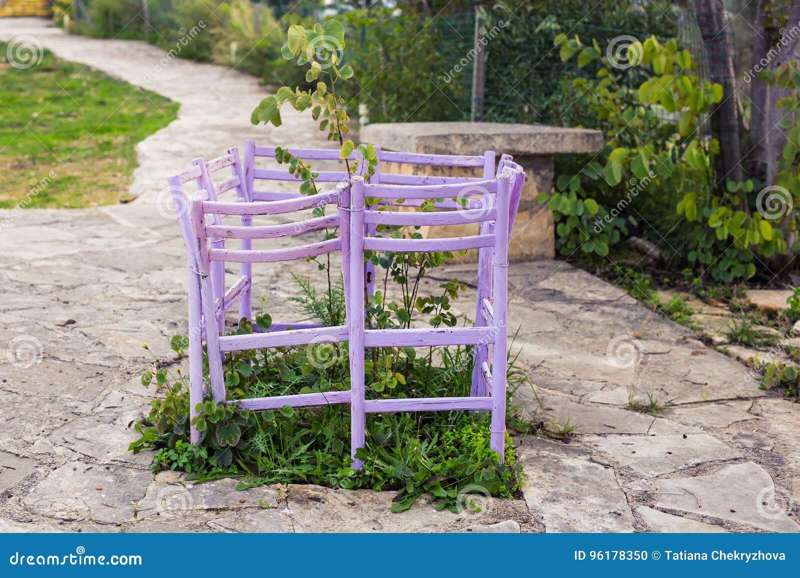 Young Tree in Protection Cage in a Field in the Countryside. Stock ...