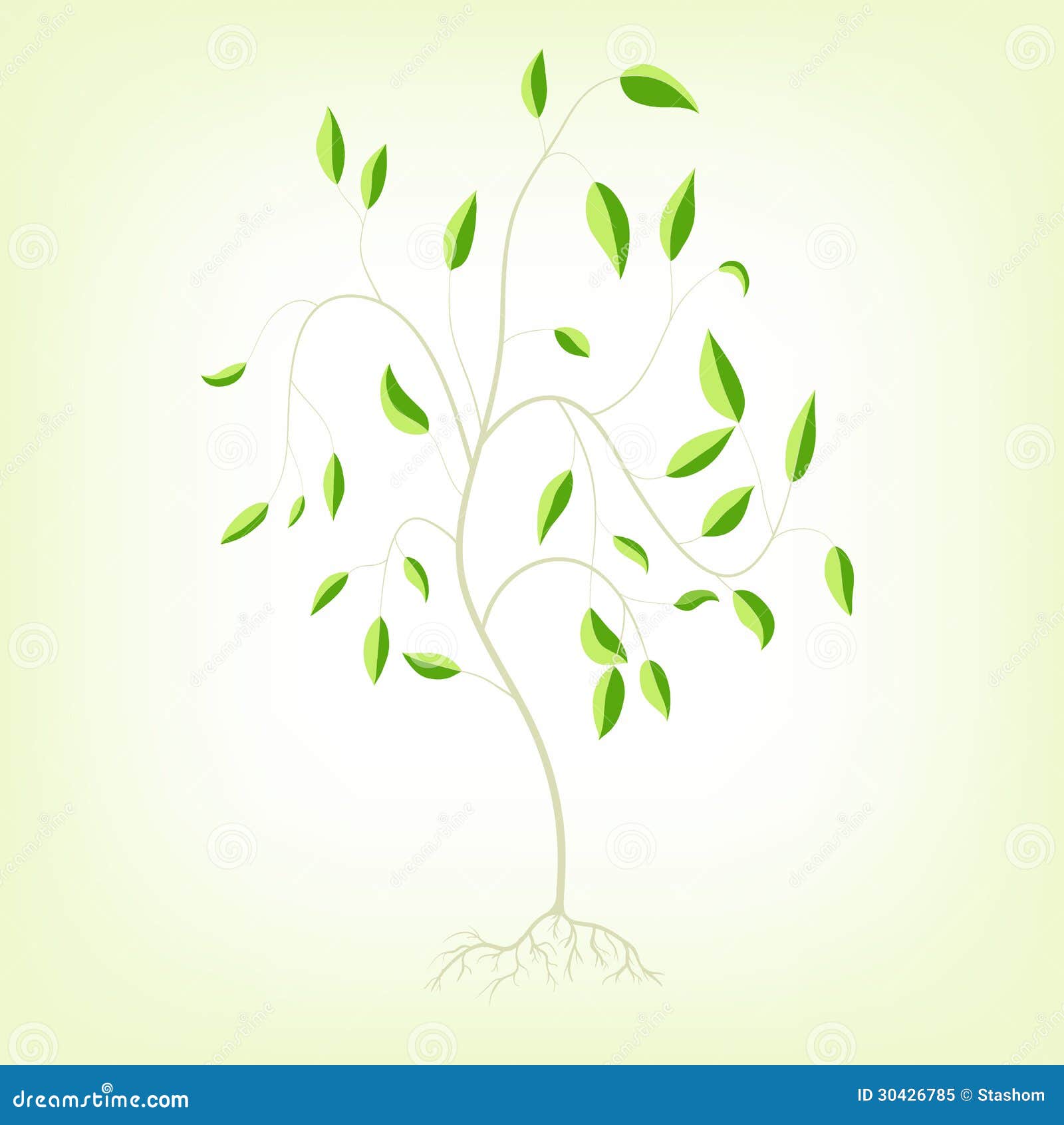 Young Tree with Roots, a Vector Illustration Stock Vector ...
