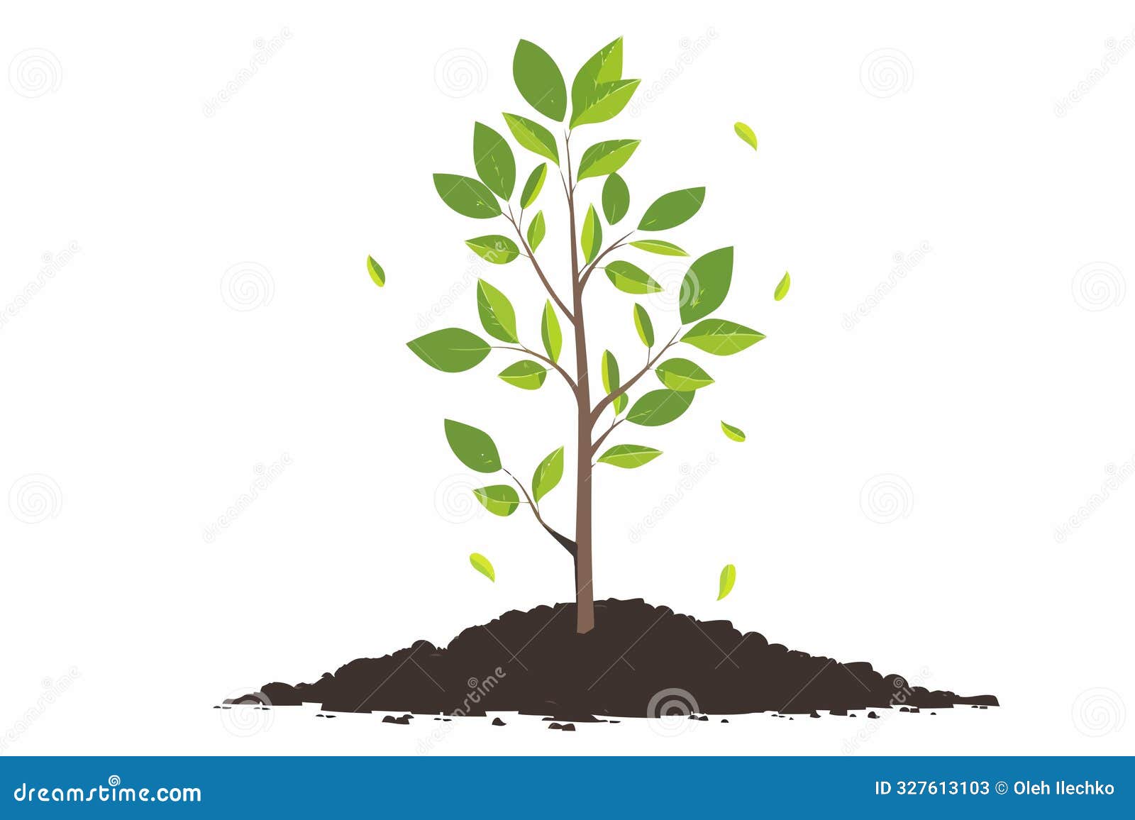 Tree Sapling With Green Leaves And Root System Cartoon Vector ...
