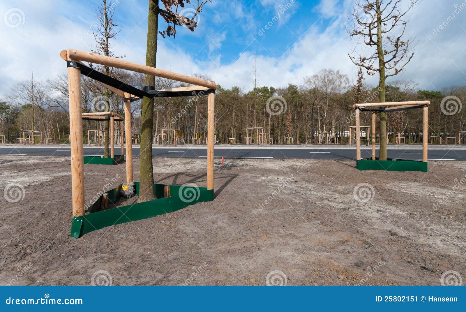 Young trees stock image. Image of outside, leaves, field - 25802151