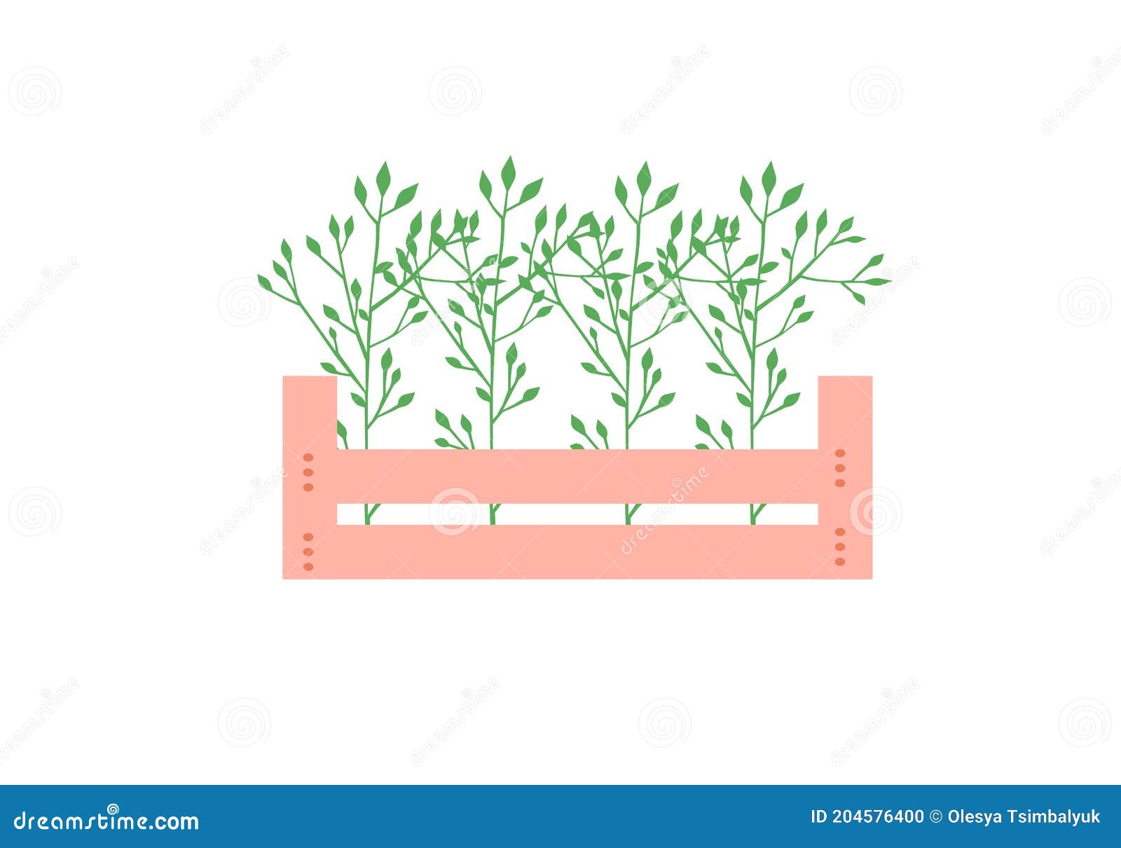 Grapevine Vegetative Reproduction Scheme. Growth Stages From Propagule ...