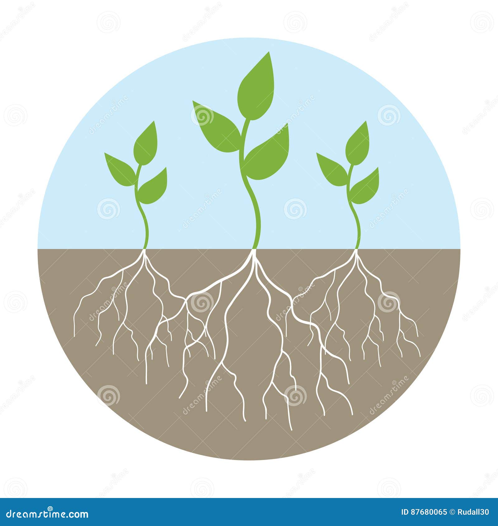 Young trees with root stock vector. Illustration of ecology - 87680065