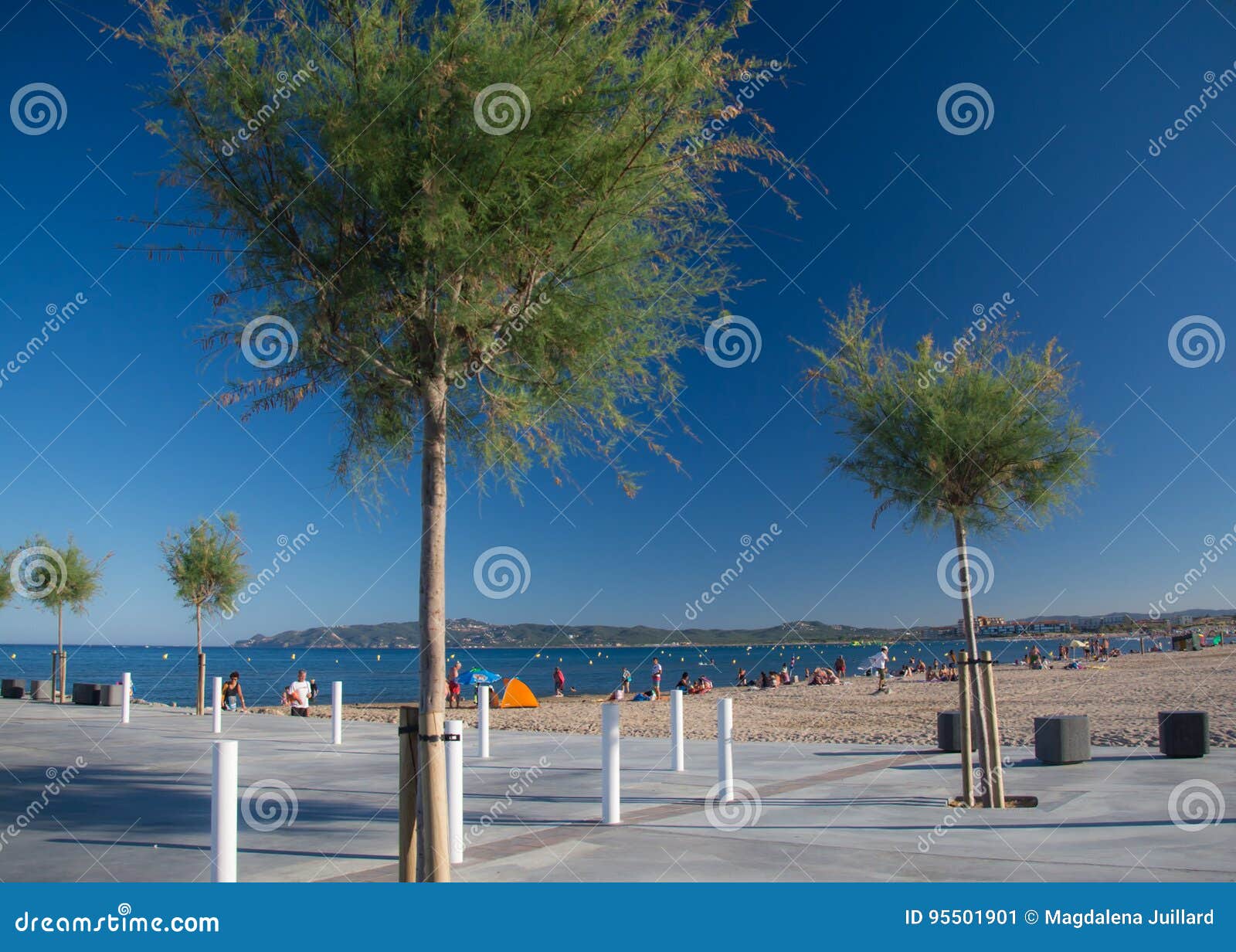 Young Trees on the Walk at Estartit Beach Editorial Photo - Image of ...