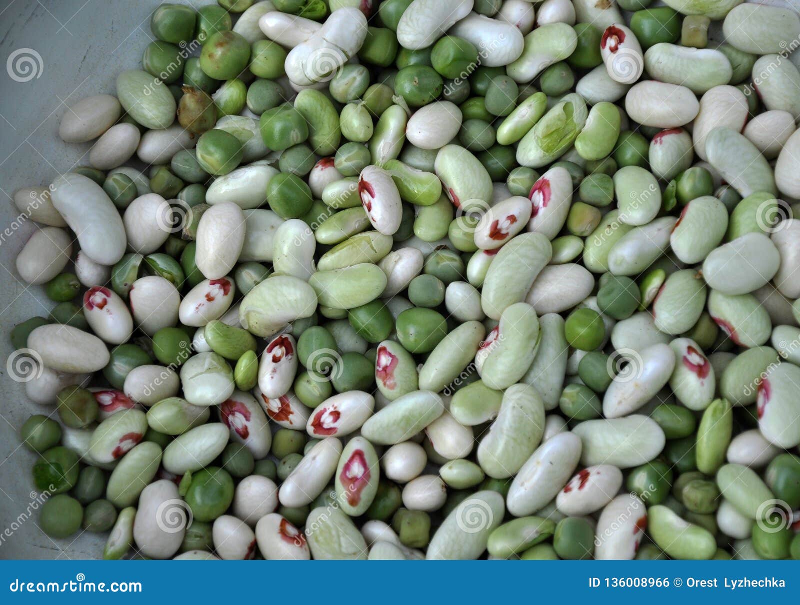 Young, Unripe Multicolored Grains Beans Stock Photo - Image of natural ...