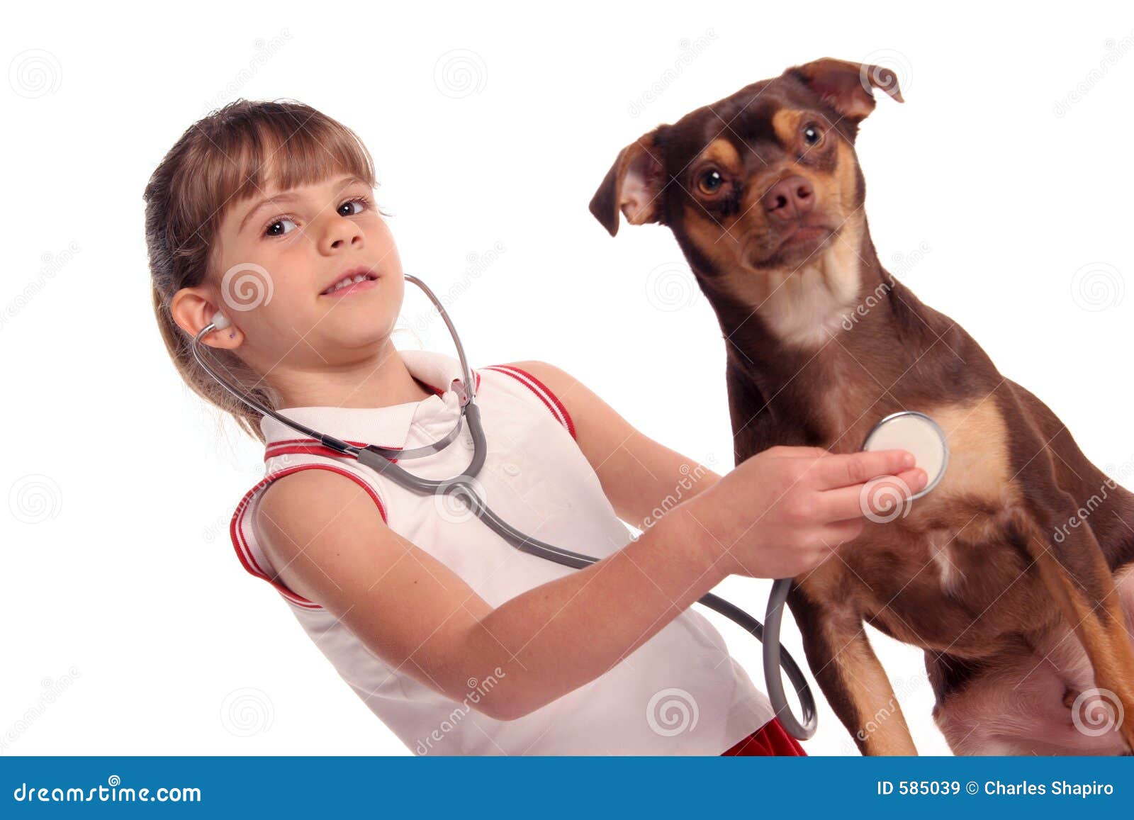 Young Vet in Training Listens To Her Young Patient Stock Image - Image ...