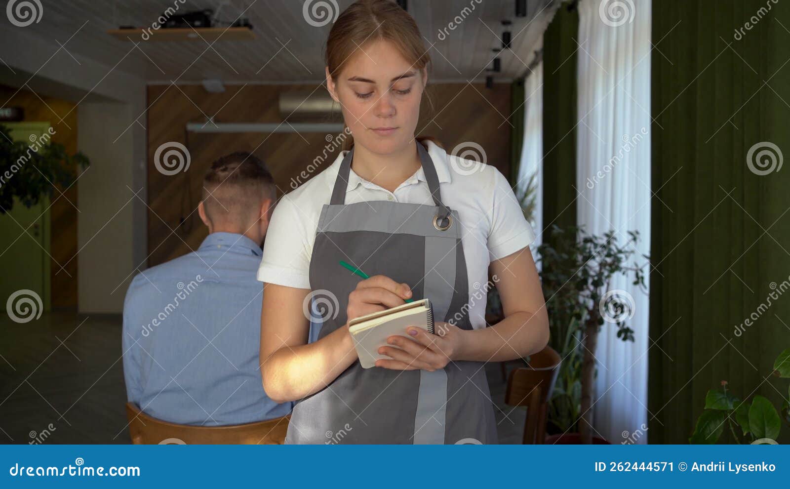 Young Waitress with Notebook in Restaurant Wearing Gray Apron Serving ...