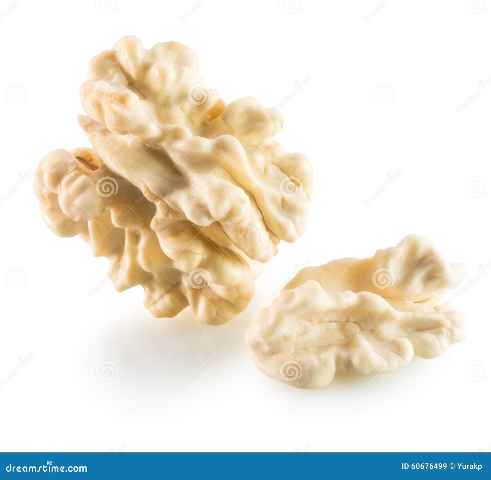 Young Walnut Nucleus Isolated on the White Background Stock Image ...