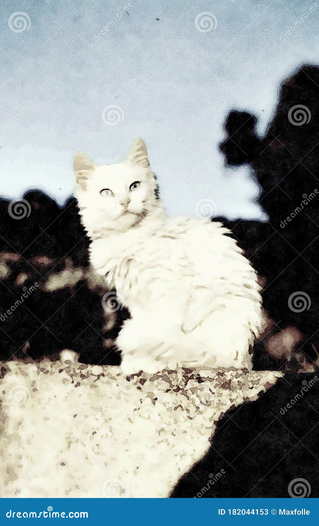 A Young White Cat Perched on a Wall Stock Image - Image of icon, nature ...