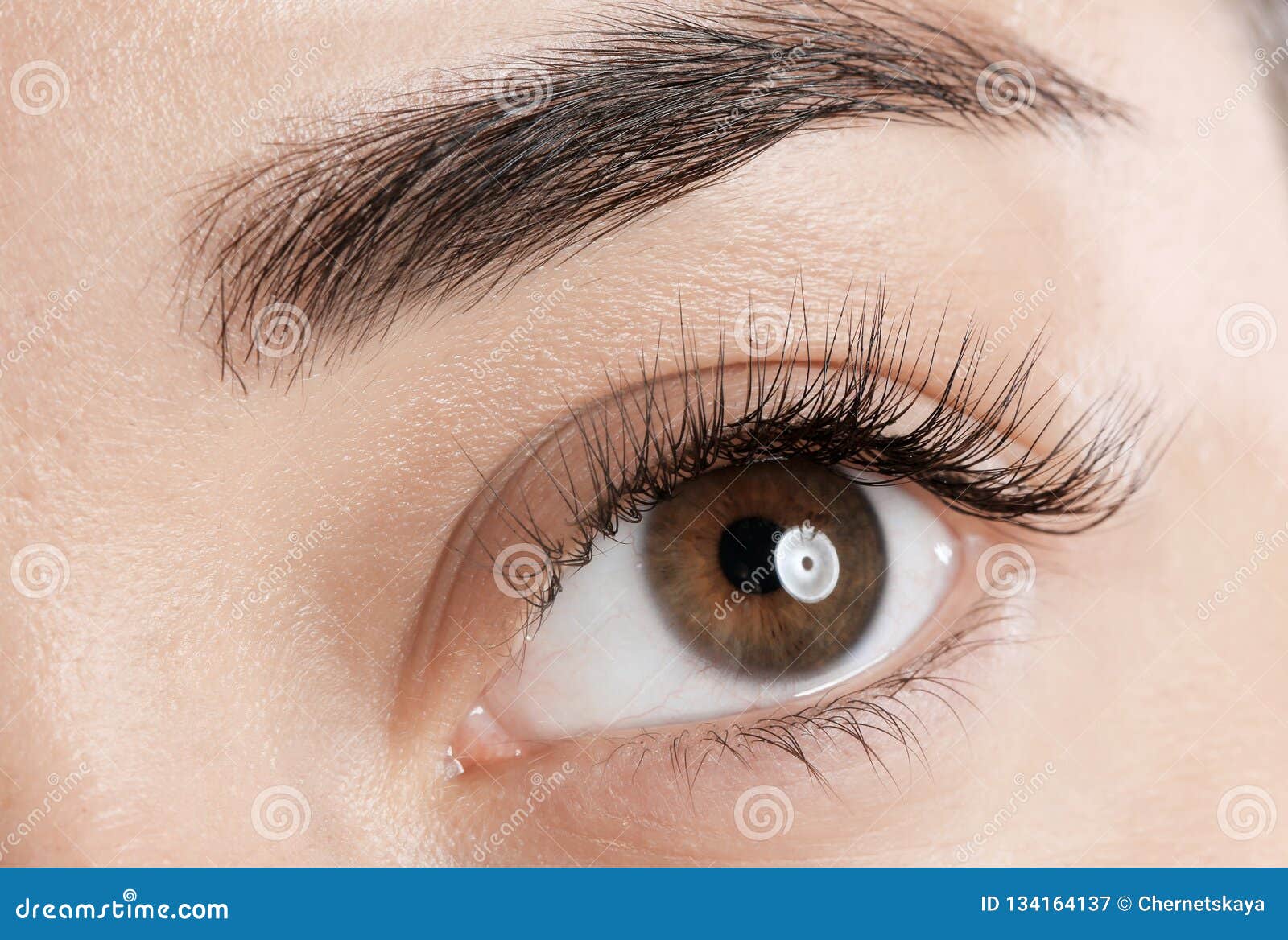 Young Woman with Beautiful Eyelashes Stock Image - Image of fluffy ...