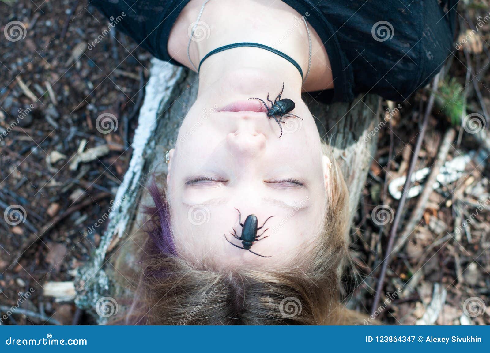 Young Woman with a Bugs on Face Stock Image - Image of girl, lying ...