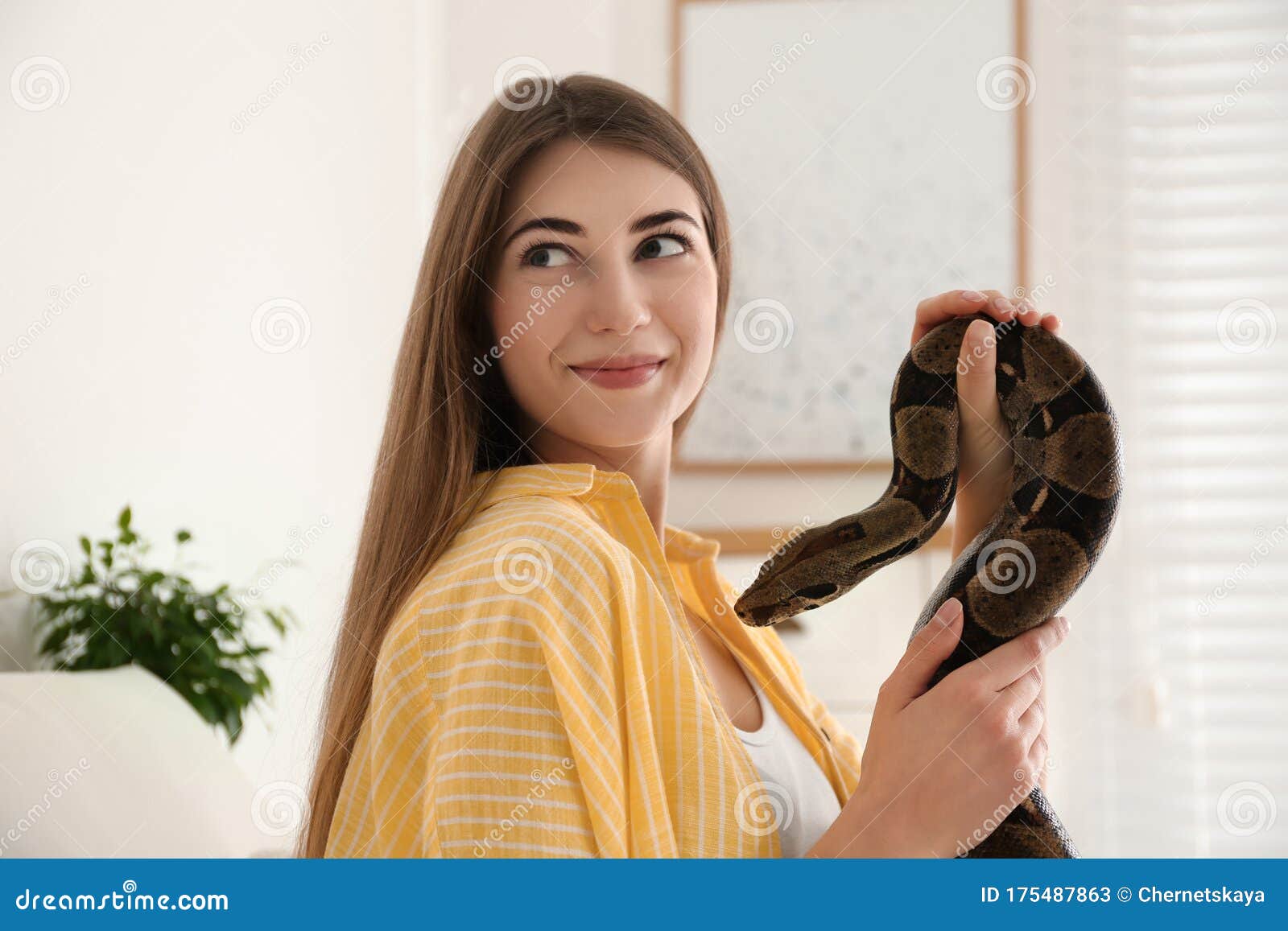 Young Woman with Boa Constrictor. Exotic Pet Stock Image - Image of ...