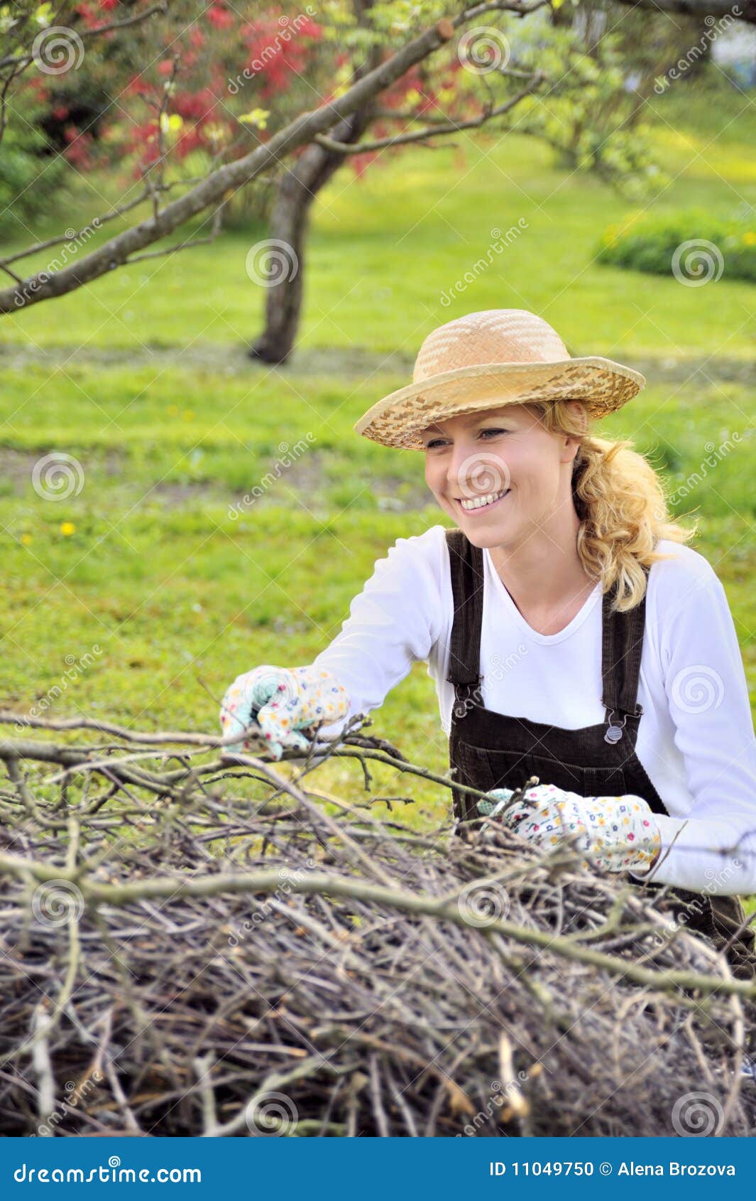 Young Woman Cleaning Tree Limbs Stock Photo - Image of agriculture ...