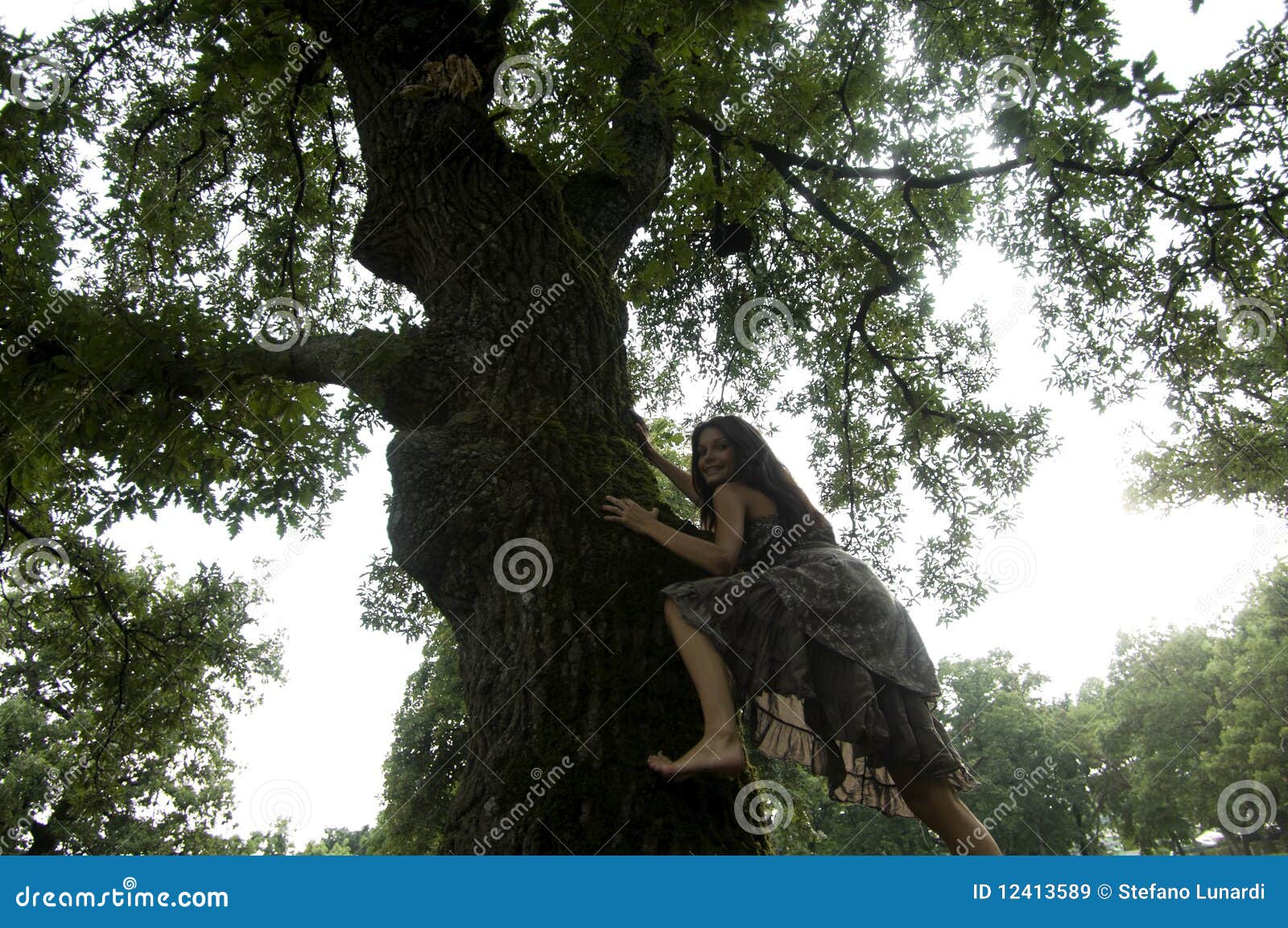 Young Woman Climbing a Tree Stock Image - Image of barefoot, scenic ...