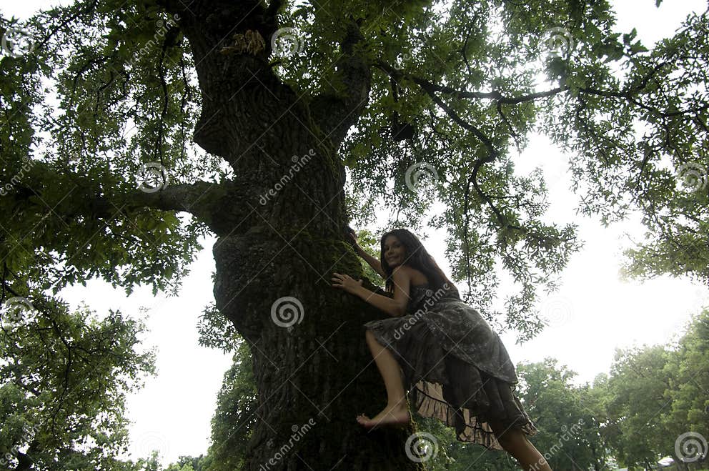 Young Woman Climbing a Tree Stock Image - Image of barefoot, scenic ...
