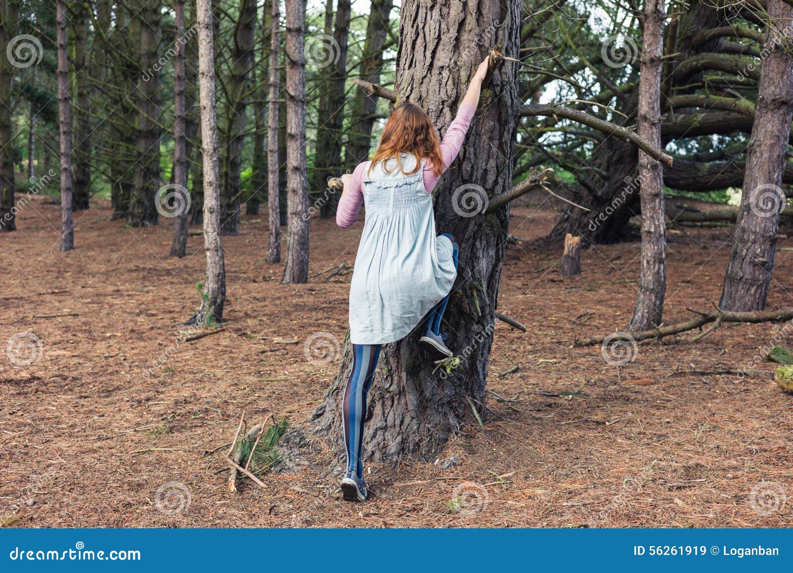 Young Woman Climbing a Tree Stock Image - Image of fashion, adult: 56261919