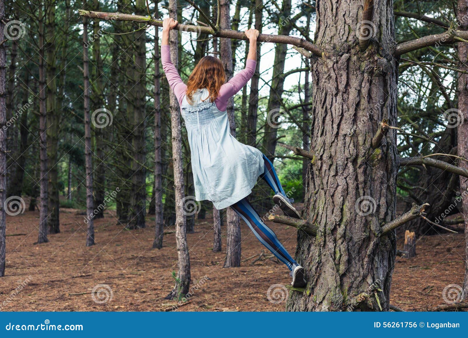 Young Woman Climbing a Tree Stock Photo - Image of human, outdoors ...