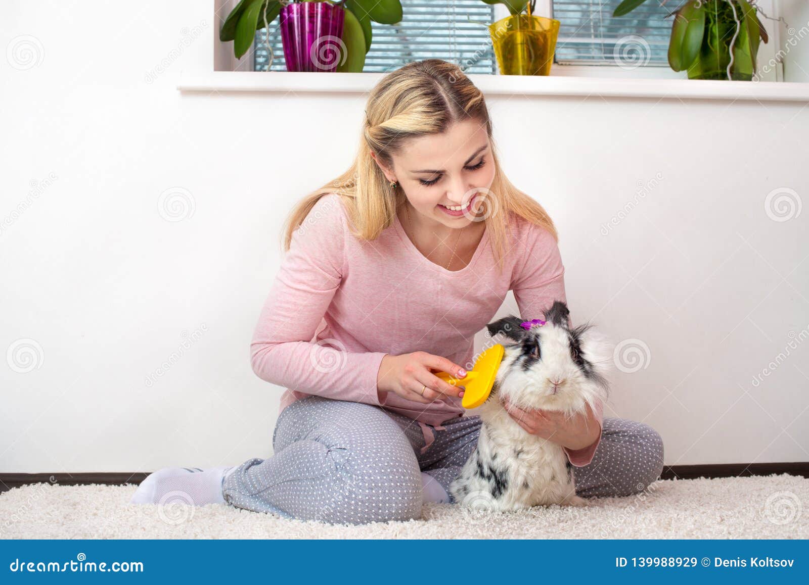 A Young Woman is Combing Her Rabbit.Lovely Pets. Stock Image - Image of ...