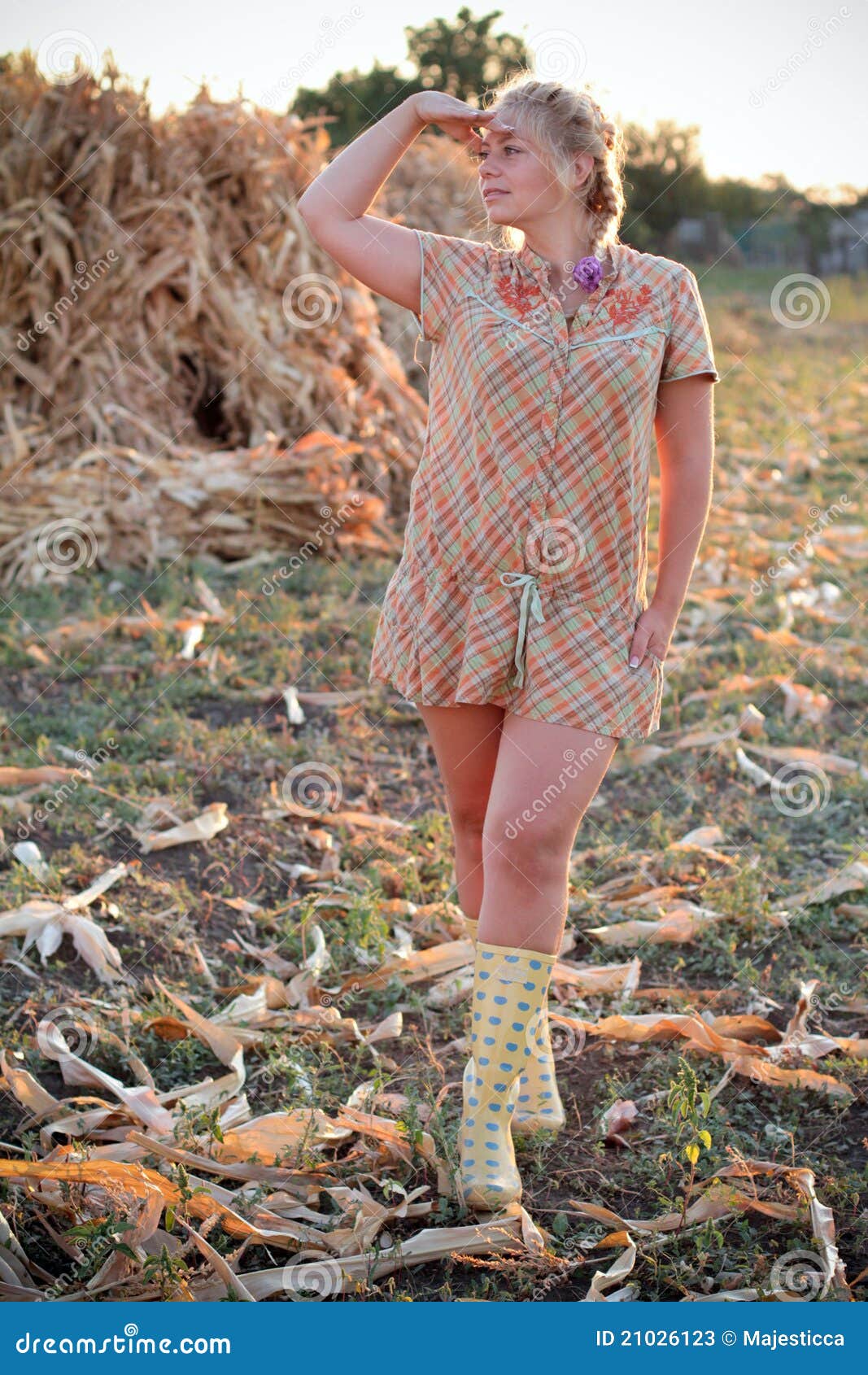 Young woman in corn field stock image. Image of light - 21026123