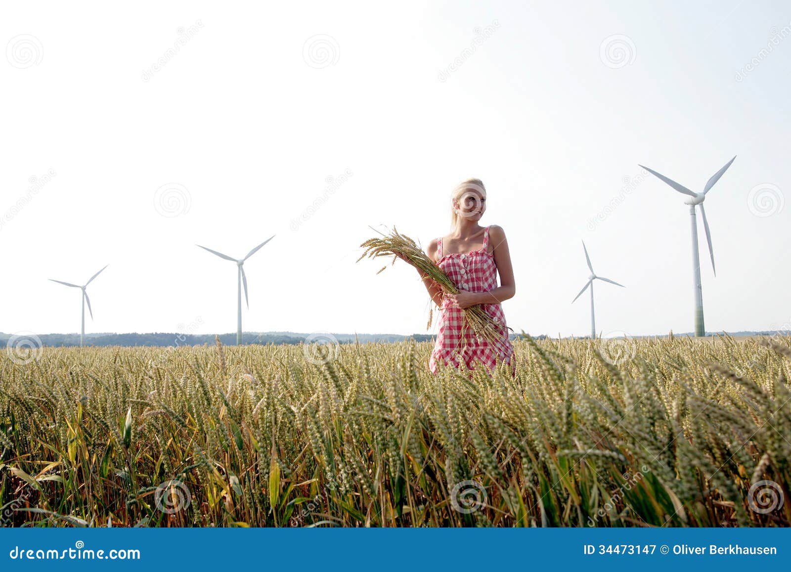Young Woman in a Corn Field Stock Image - Image of happy, leaning: 34473147