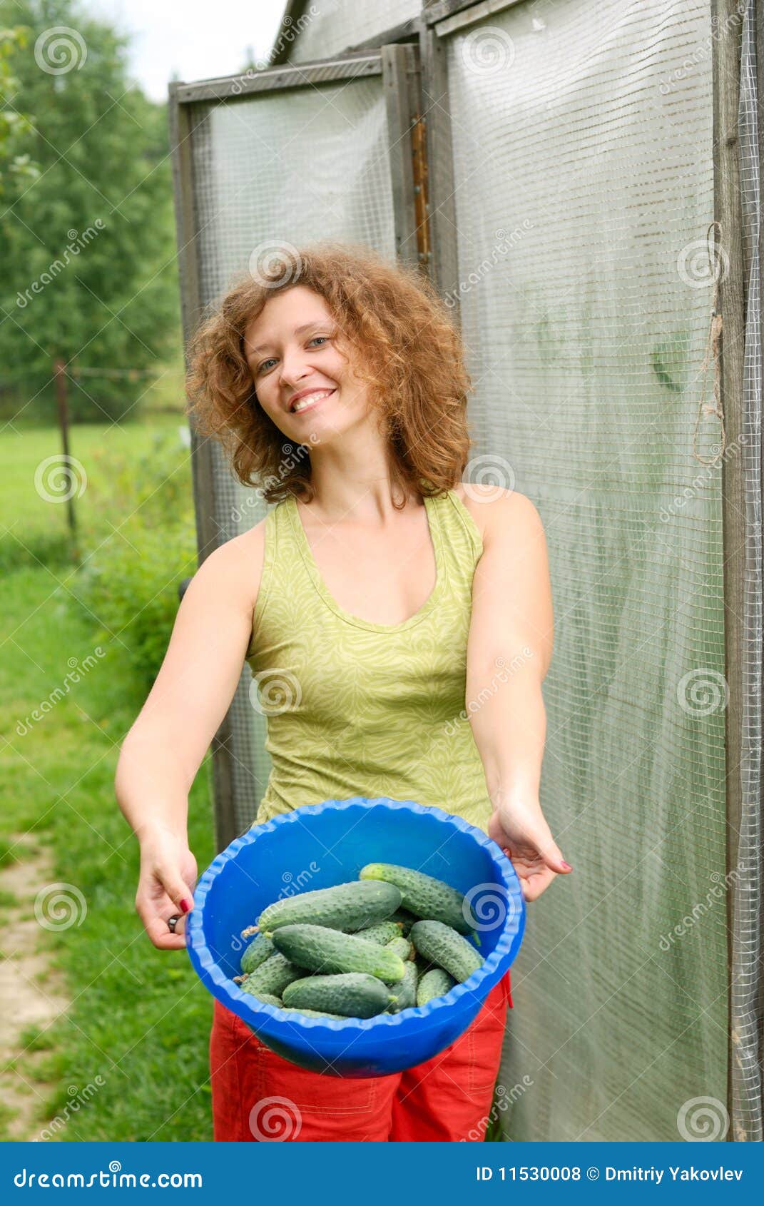 Young Woman with Crop of Cucumbers Stock Photo - Image of freshness ...