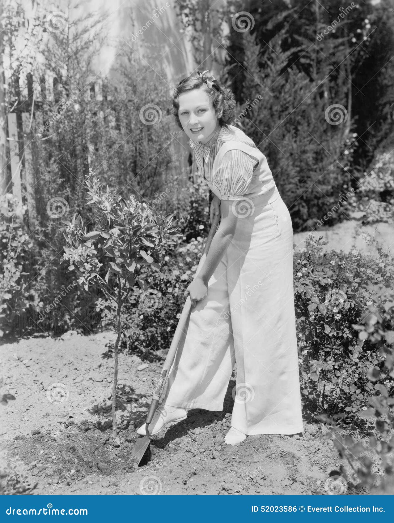 Young Woman Doing Gardening in Her Backyard Stock Photo - Image of ...