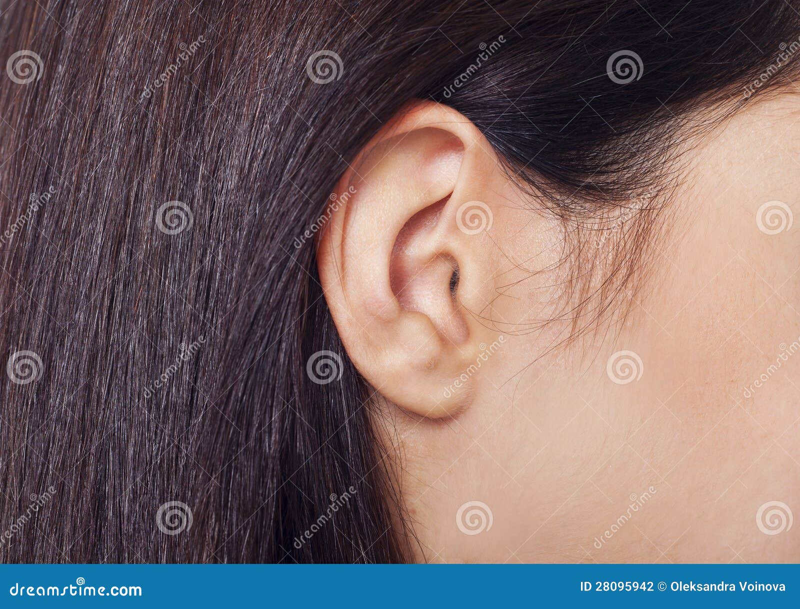 Young woman ear closeup stock photo. Image of lobe, head - 28095942