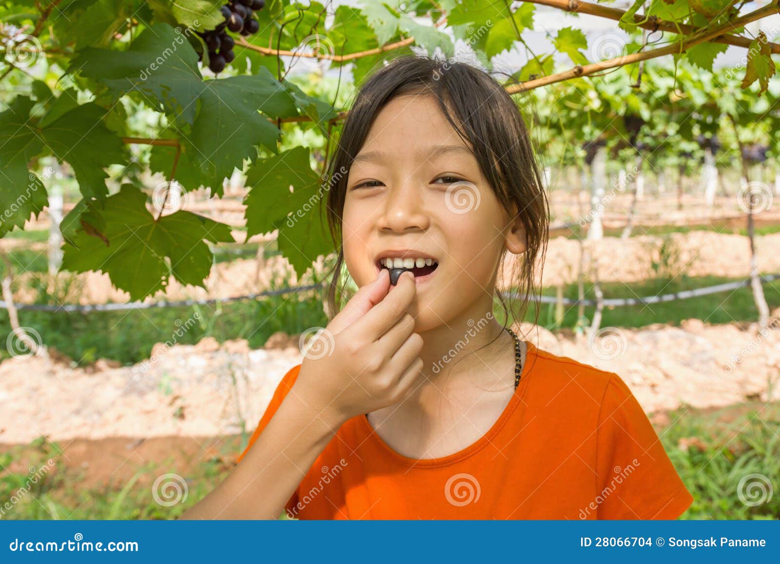 Young woman eating grapes stock photo. Image of farm - 28066704