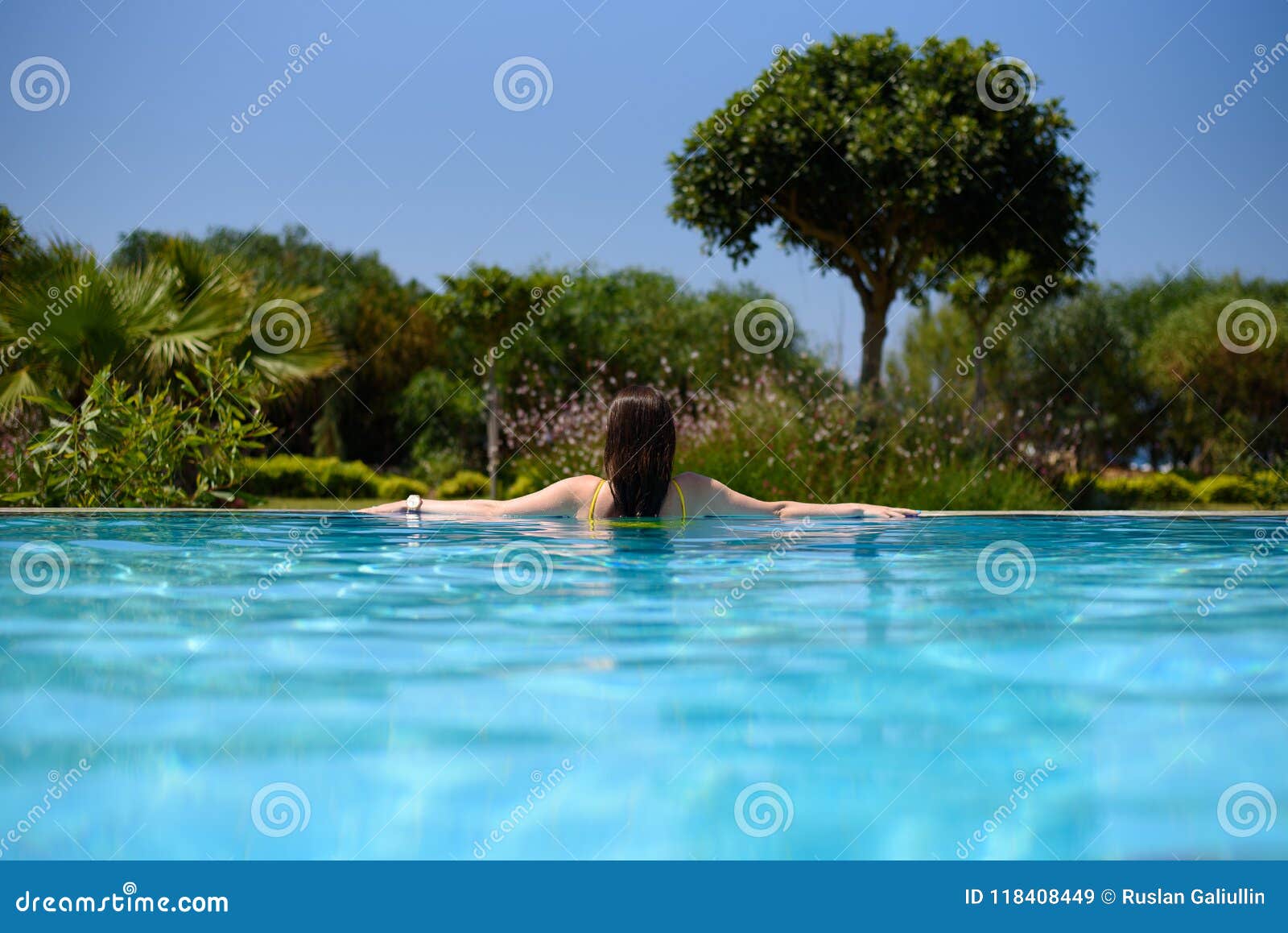 Young Woman at the Edge of the Pool View from the Back of the Water ...