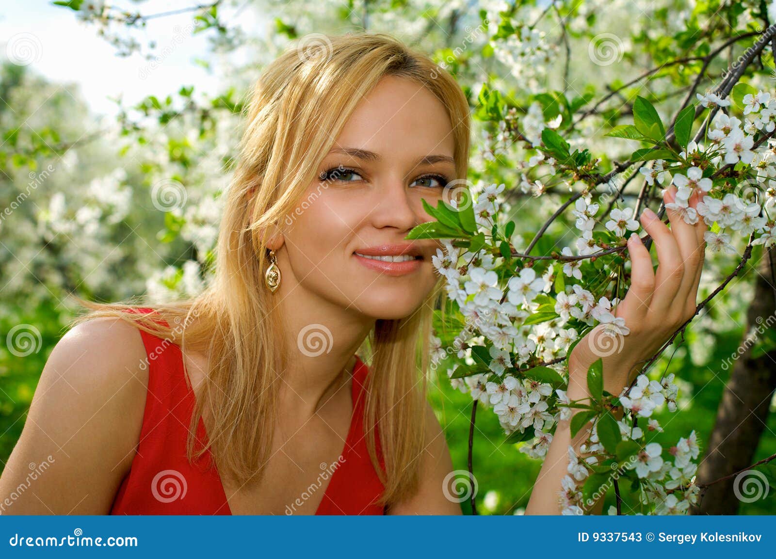 Young Woman Enjoying Smell of Blooming Tree Stock Image - Image of ...