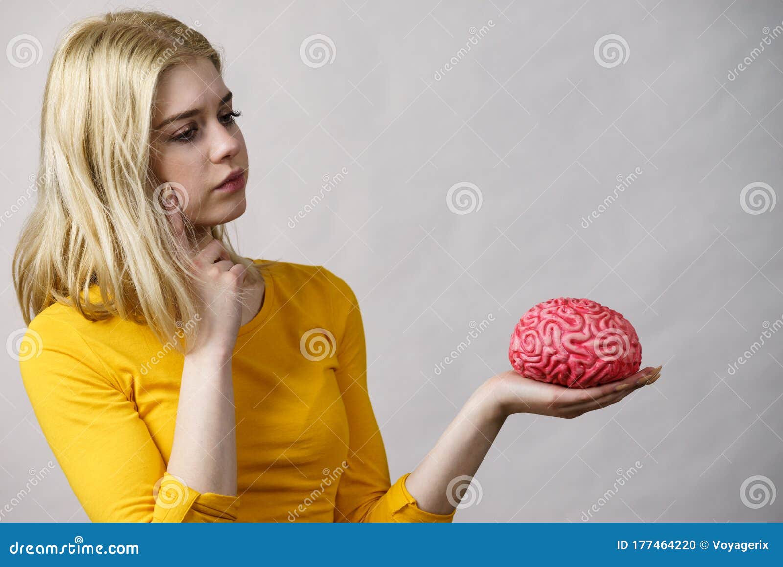 Woman thinking holds brain stock photo. Image of choice - 177464220