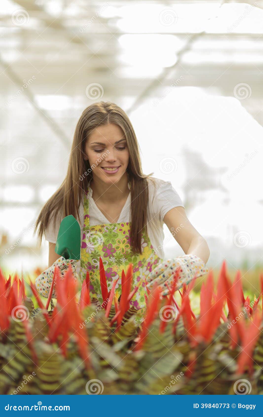 Young Woman in Flower Garden Stock Image - Image of caucasian, adult ...