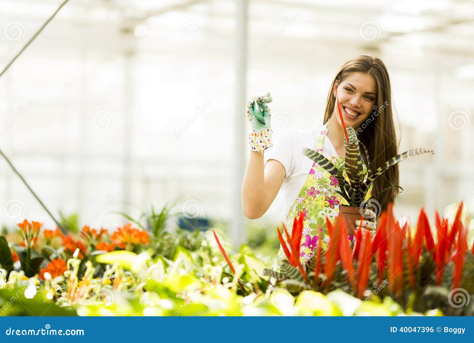 Young Woman in the Flower Garden Stock Photo - Image of gardener ...