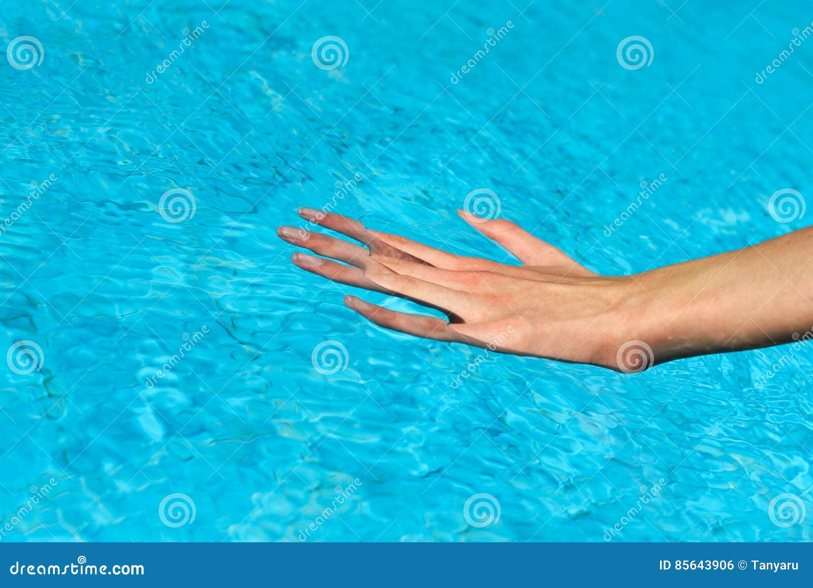 Young Woman Hand in Blue Water in a Swimming Pool Horizontal Stock ...