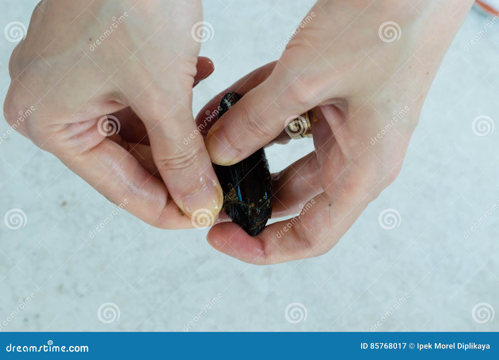 Young Woman Hands Opening Fresh Mussel Shell Stock Image - Image of ...