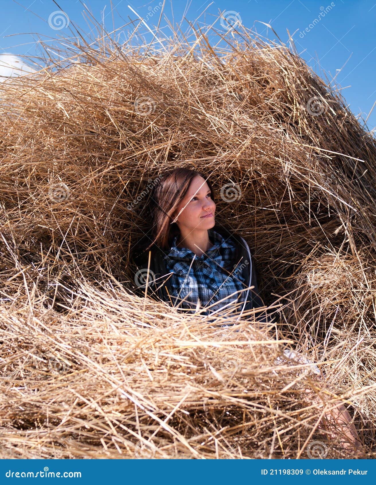 Young woman in haystack stock image. Image of farmer - 21198309